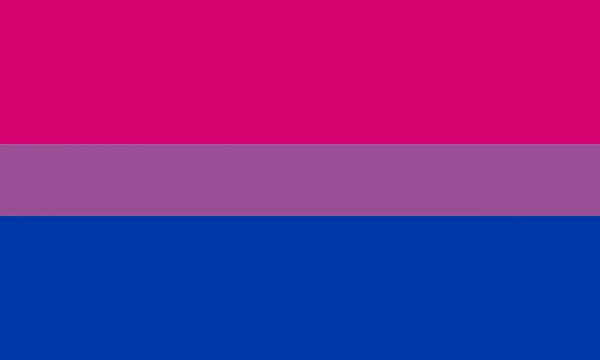 The Great Big Pride Flag Timeline — the pink cube.