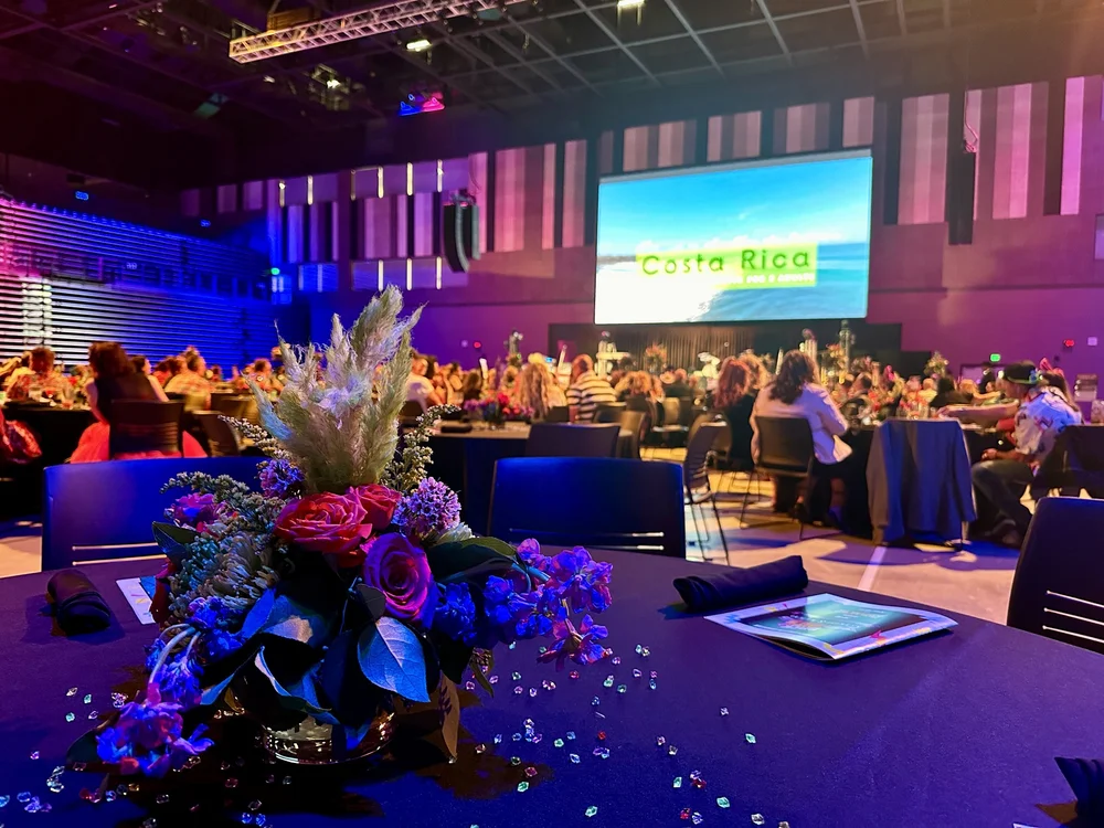 The OC Arena | Book Your Event Today — The OC