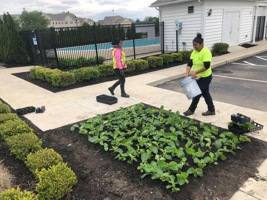 Careers — Yard Solutions