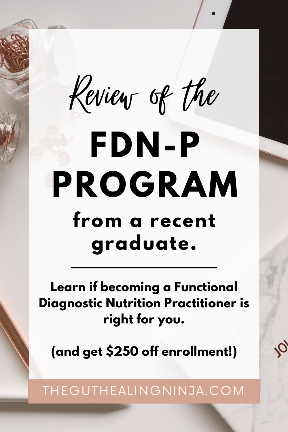 My Experience in the FDN Program - The Gut Healing Ninja