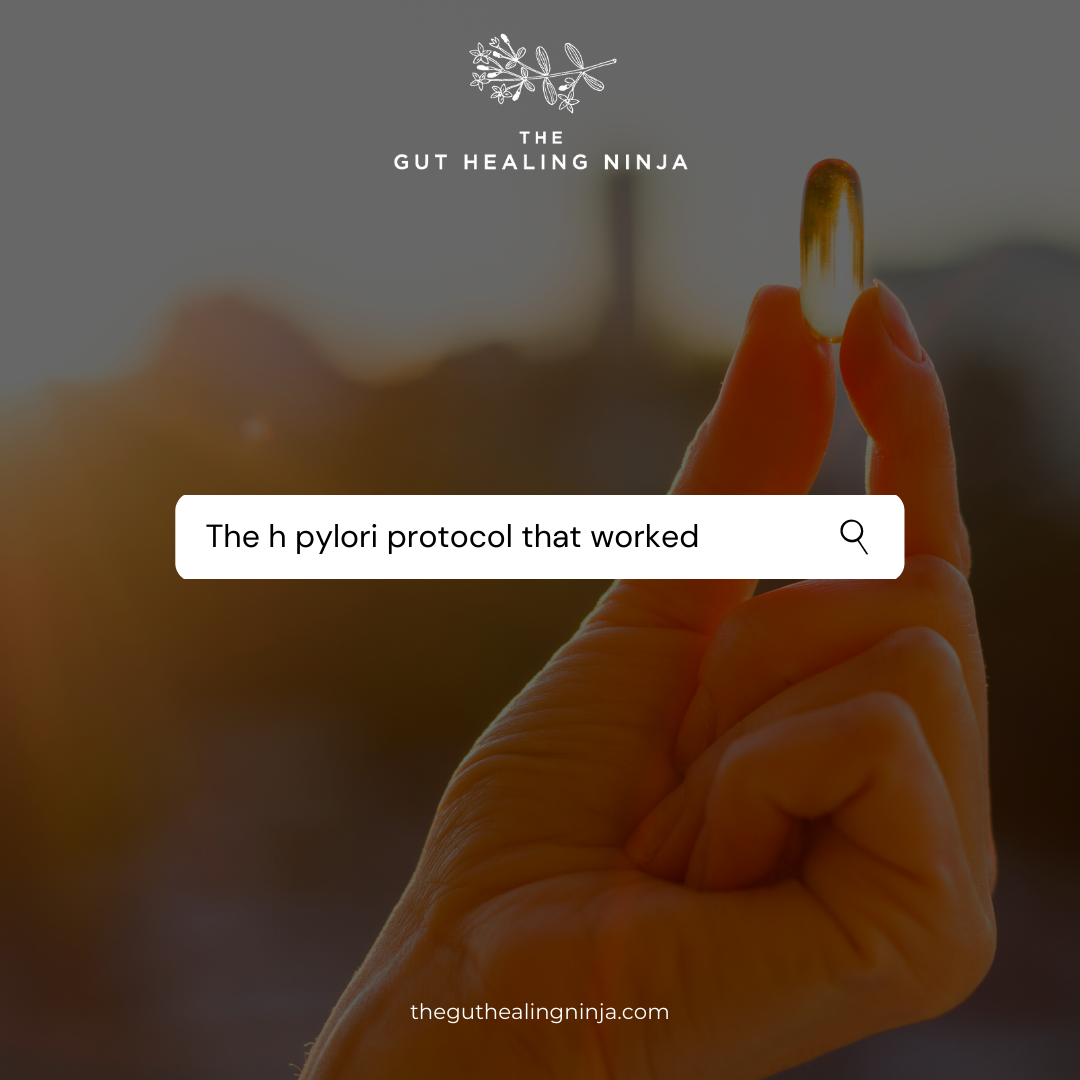 The Herbal H. Pylori Protocol that Worked - The Gut Healing Ninja