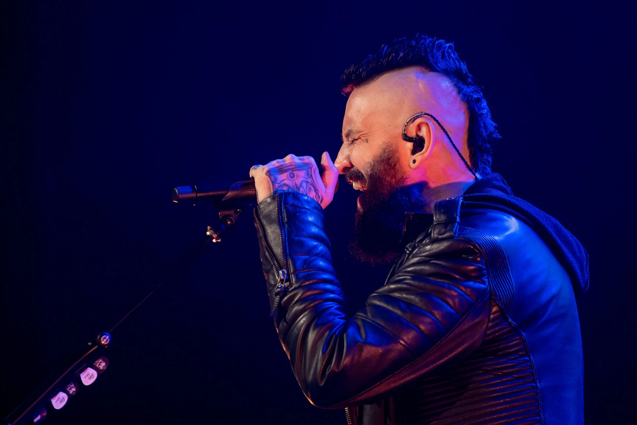 Live Show Gallery — The Robb Nash Project