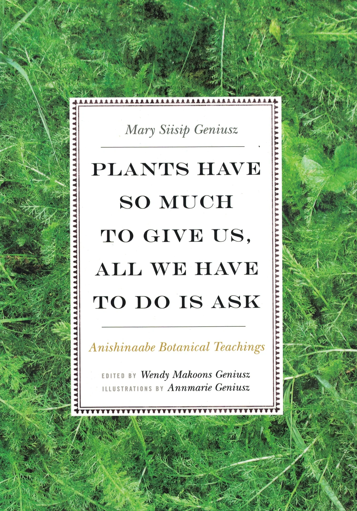 Native Plant Books by Indigenous Knowledge-Keepers — Lorraine Johnson