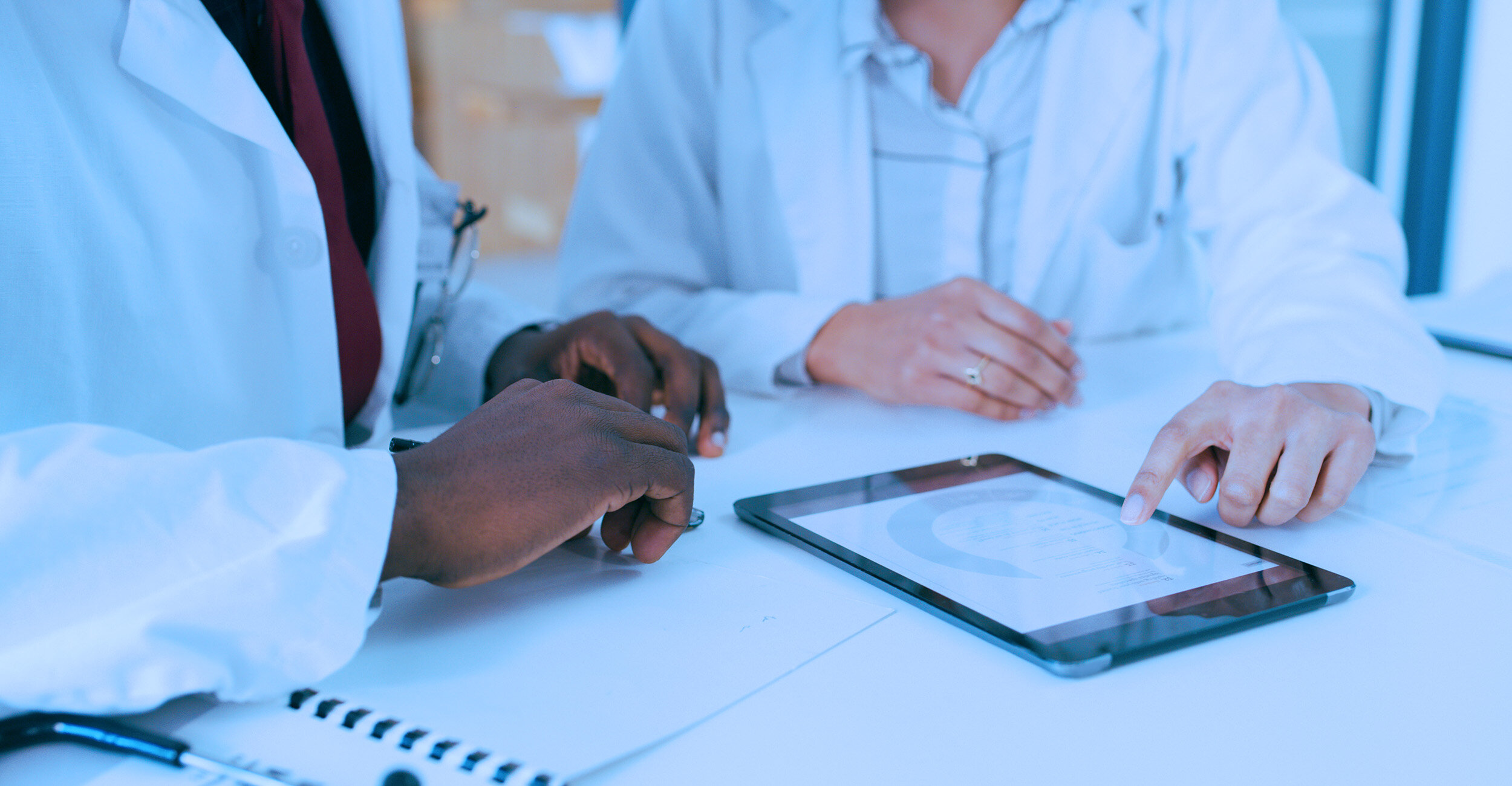 What we can do for you — velev consulting