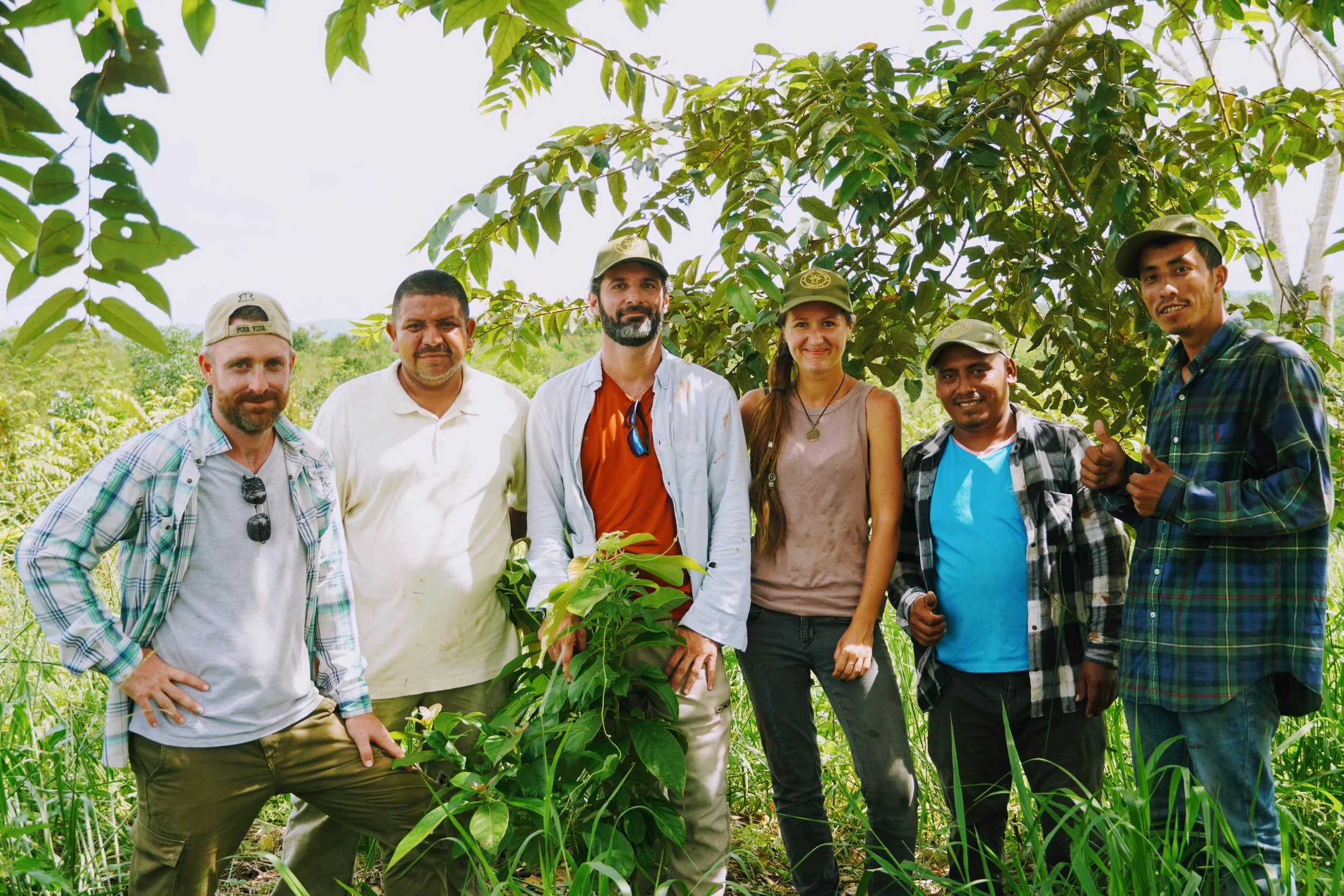 Open Forest Protocol | Measure, report, verify and fund forestation ...