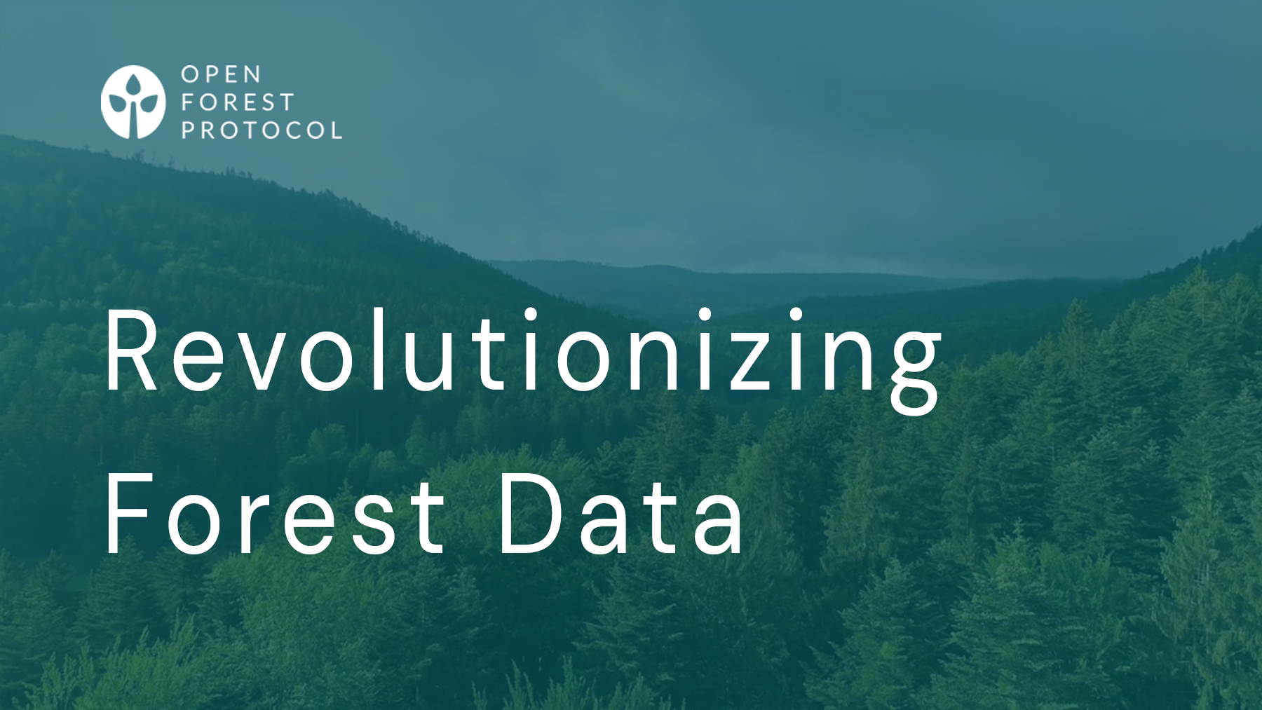 Open Forest Protocol | Measure, report, verify and fund forestation projects with digital ...