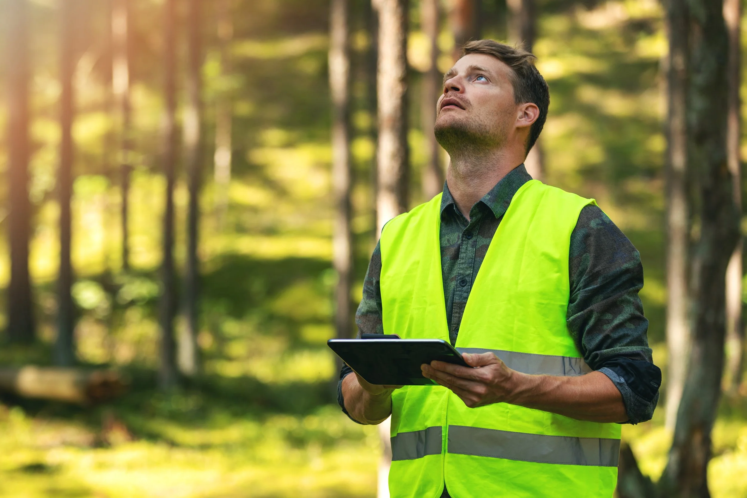 Validators | Open Forest Protocol