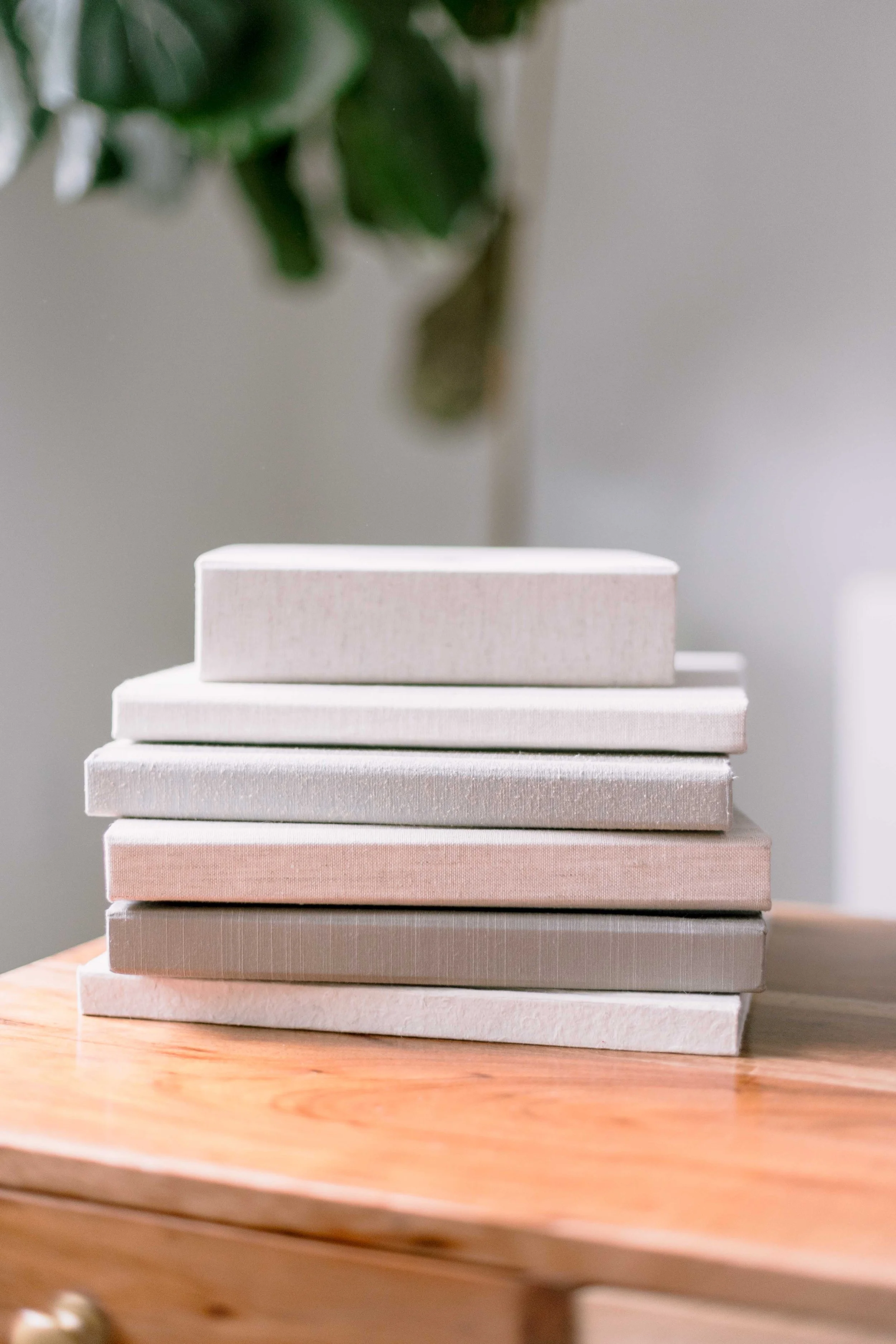 Collections and Pricing — Wild Woman Boudoir