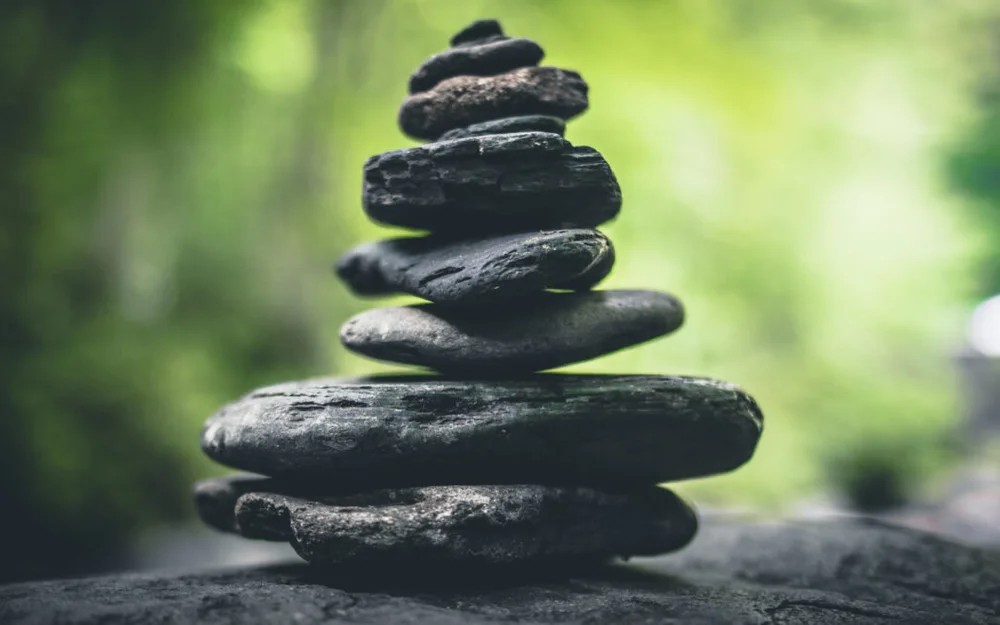 Balance Does Matter — Shepherd's Village