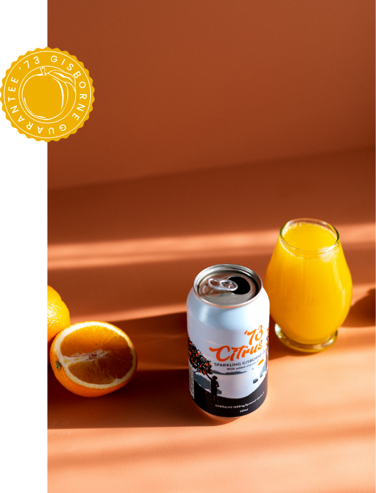 Where you go, we can too!