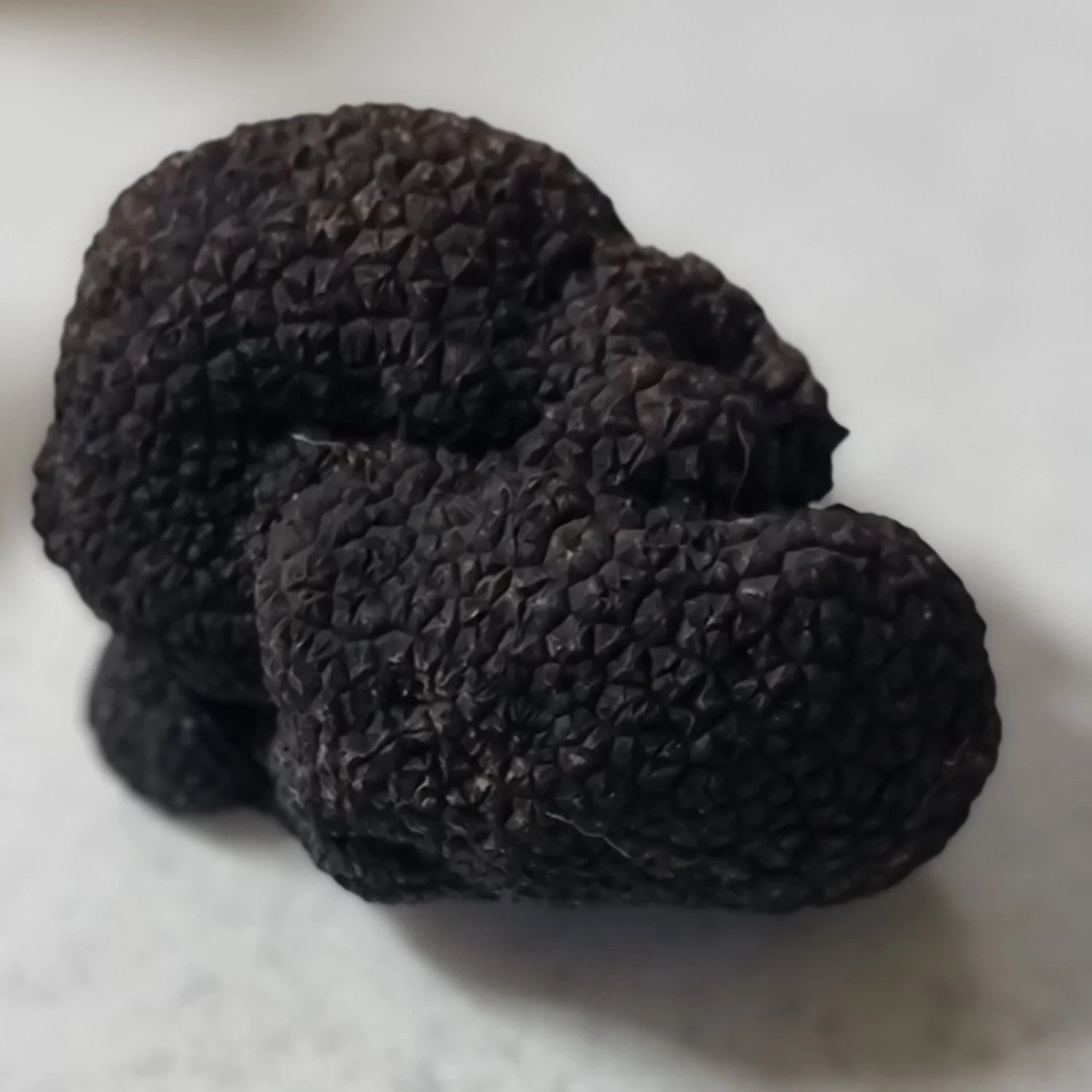 Queensland Truffle Sales — The Folly Truffles