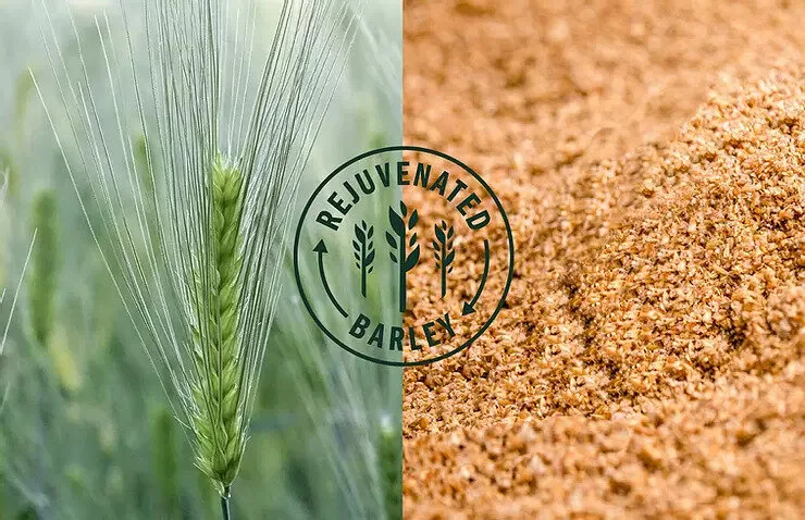 Reimagining Spent Grain: The Barleymilk Revolution — Upcycled Food ...