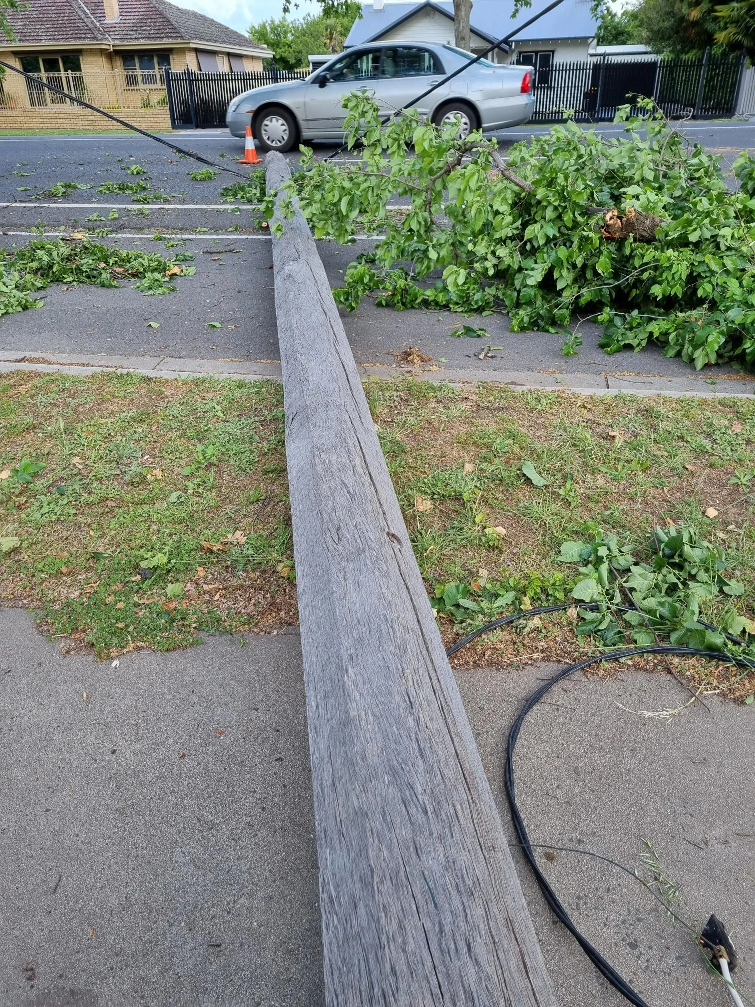 Destructive testing a factor in Pole Failure — Thor Poletest