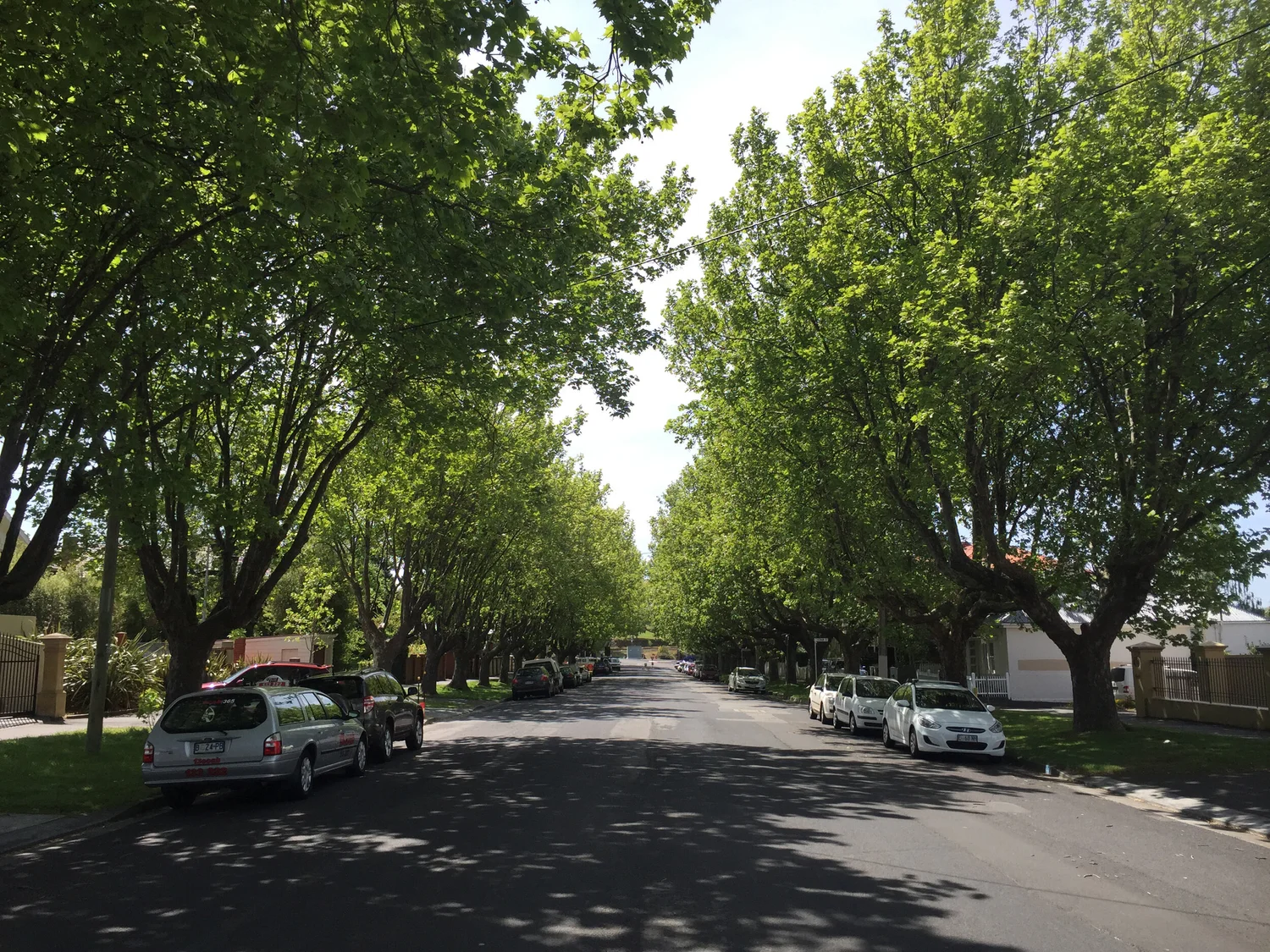 City of Hobart Street Tree Master Plan — Inspiring Place