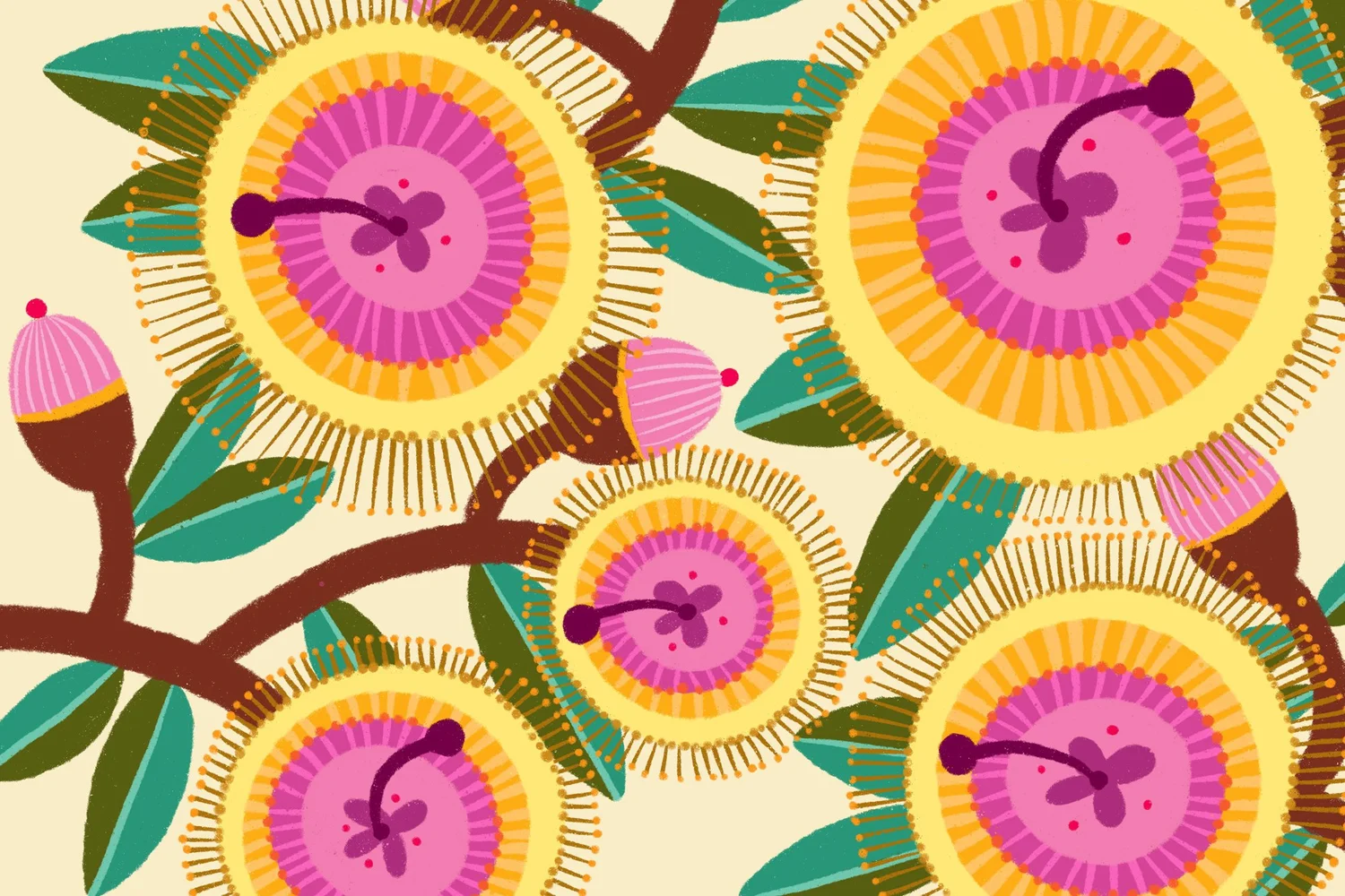 Spotlight - latest range — Emma Whitelaw