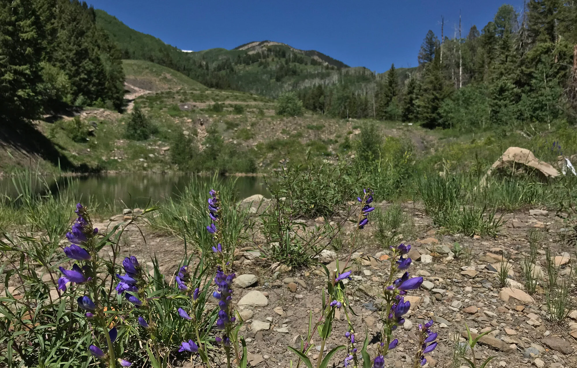 Where to Stay — Visit Redstone, Colorado