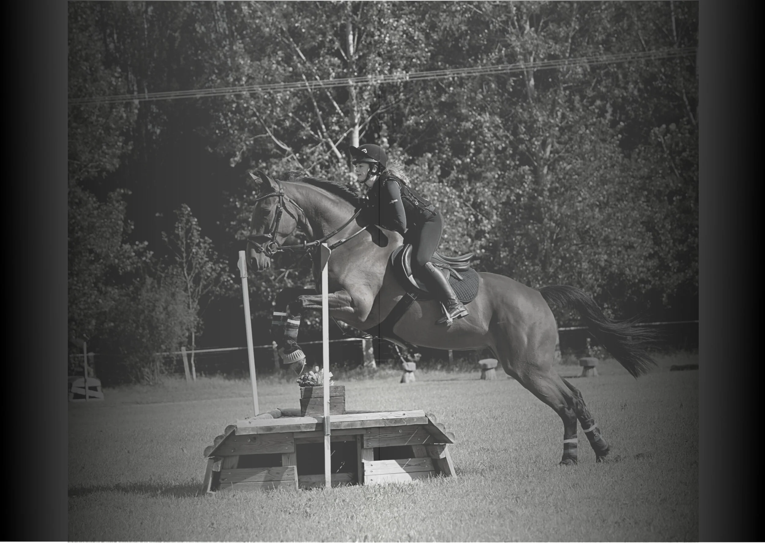 Book Now — Ace Cross Country