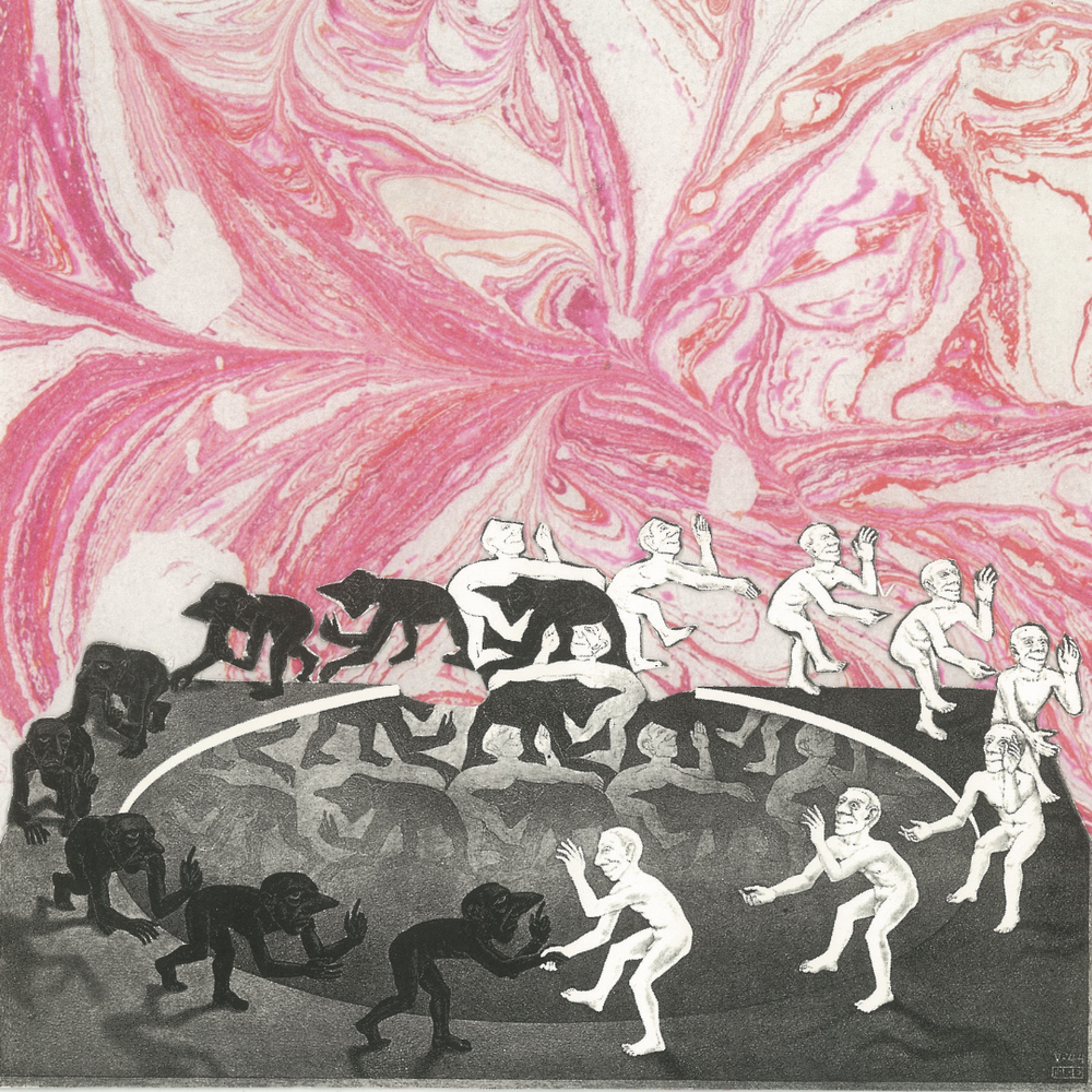 Clear communication at work: The SCARF Model — EDGY – English for Artists