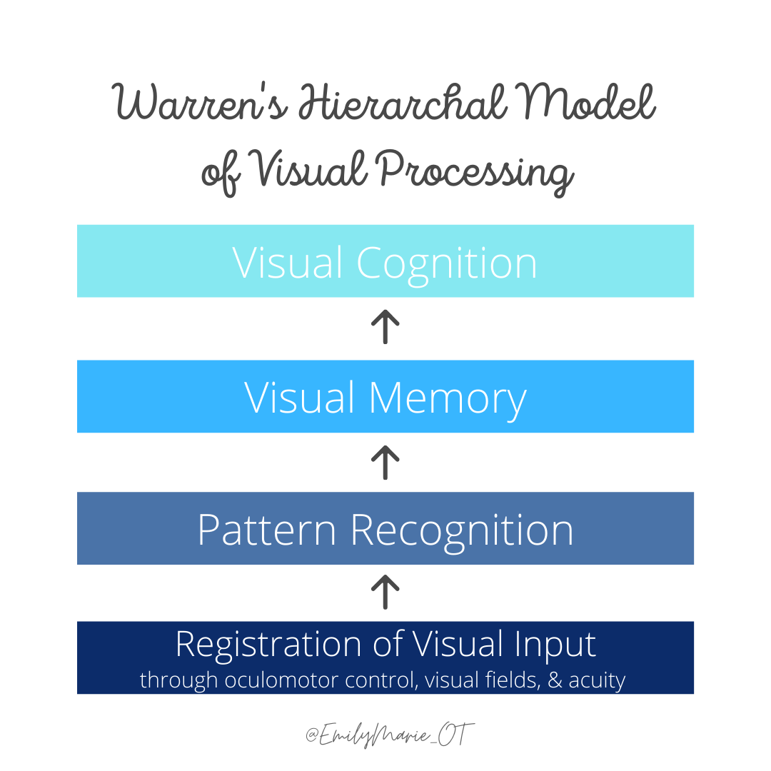 Hierarchy Of Visual Perceptual Skills Emily Marie OT LLC Hierarchy Of Visual Perceptual Skills Emily Marie OT LLC
