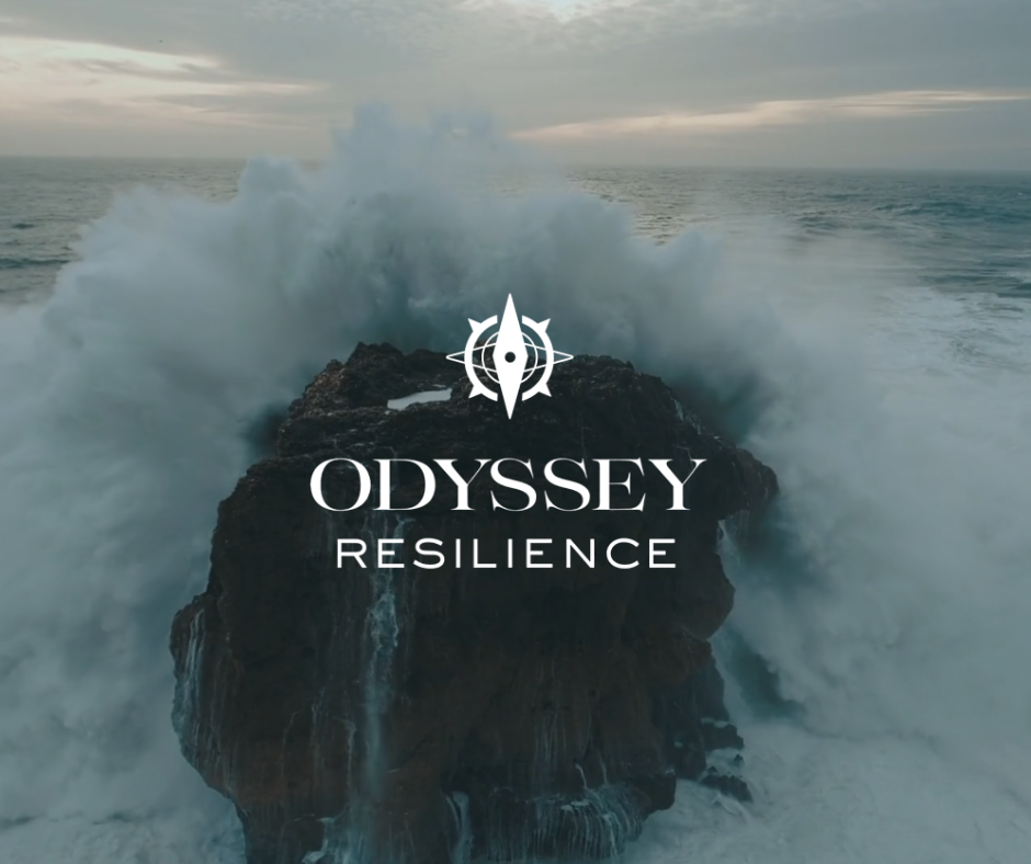 Portfolio — Amanda Thomas Creative