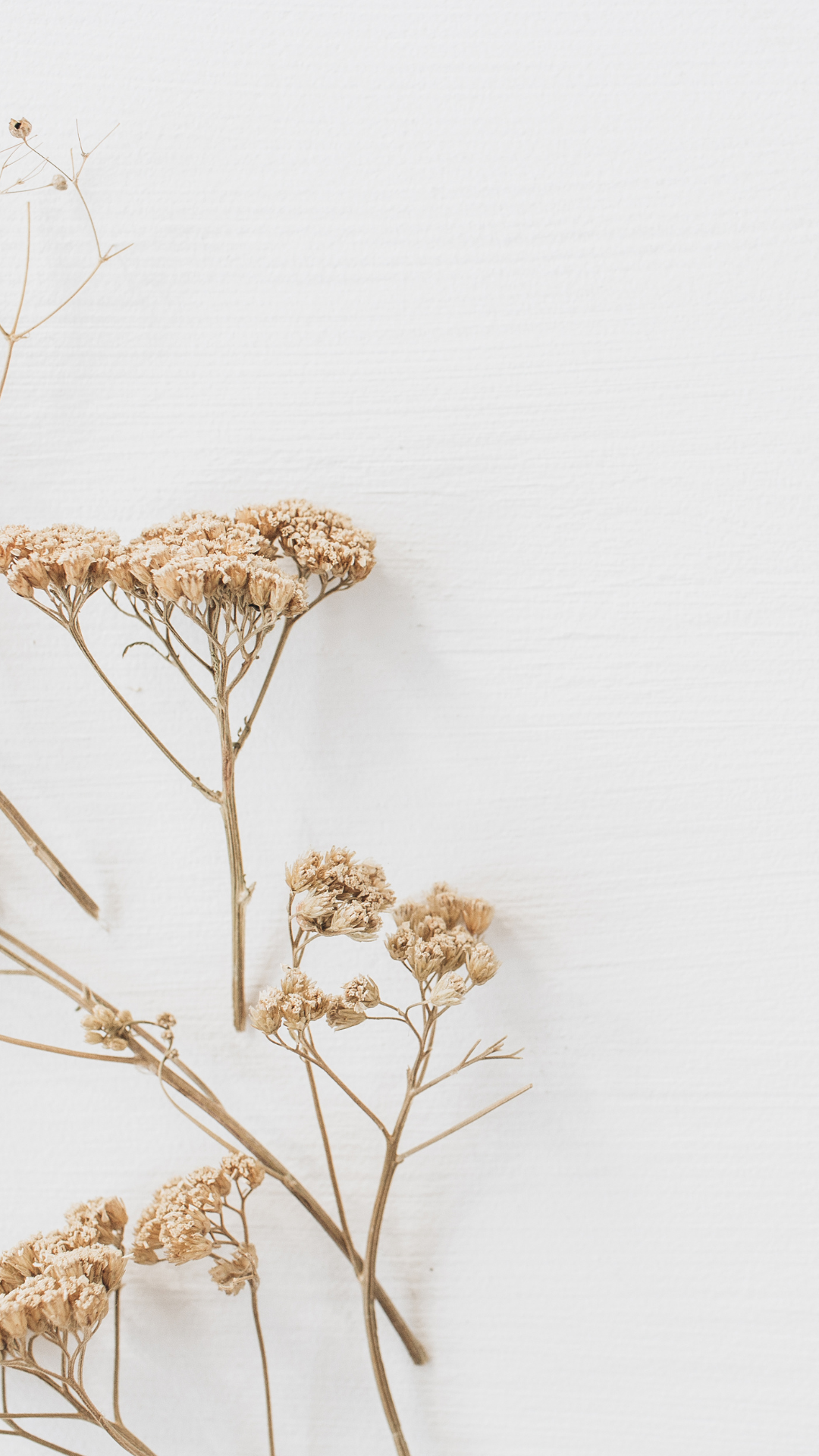 Amanda Thomas Creative