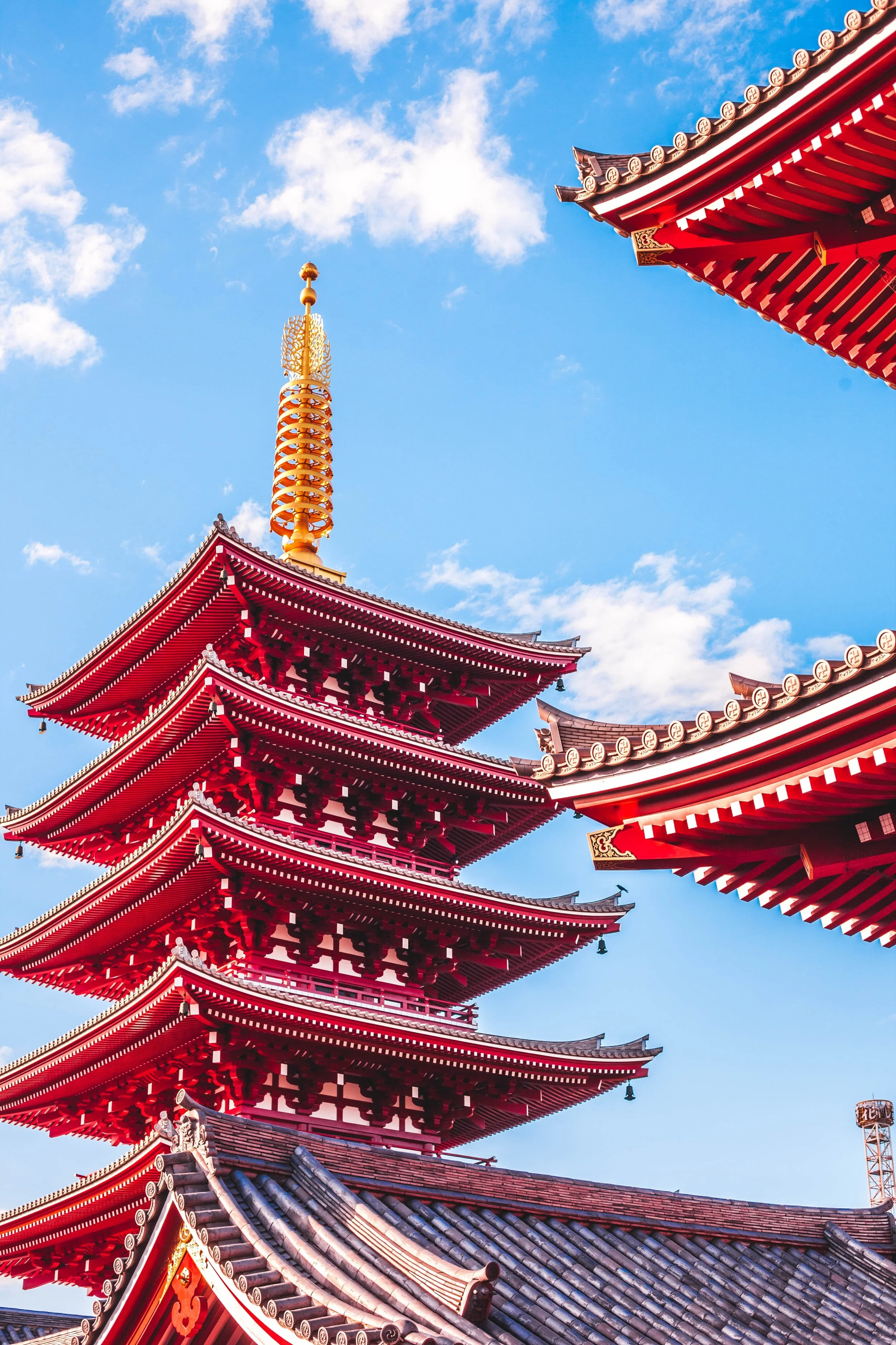 Travel Japan with Amnet— Trusted Japanese-American Travel Agency