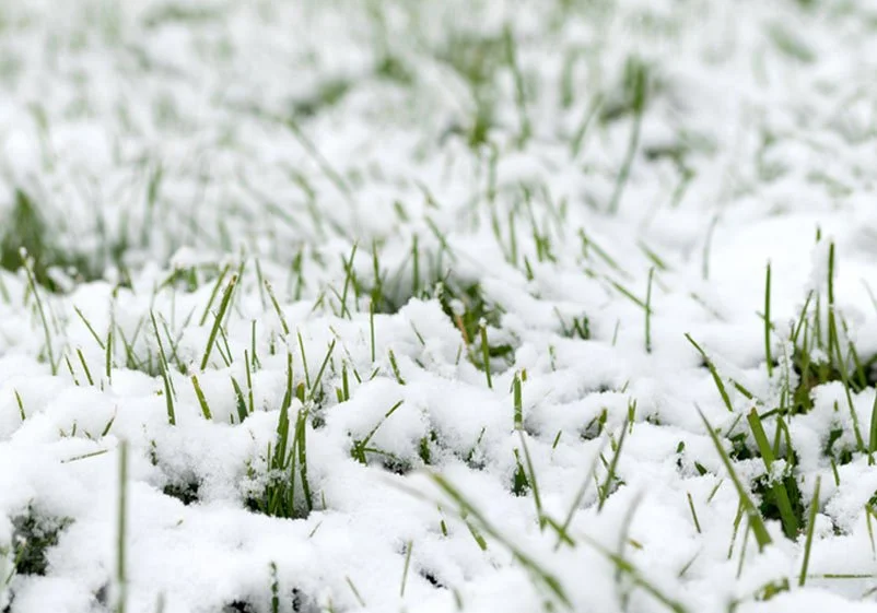 Winter Lawn Care Services — Advanced Quality Lawn