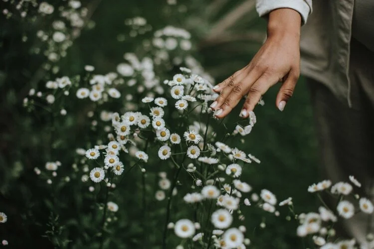 Creativity Affirmation Poem by Alex Elle — Taylor Sterling