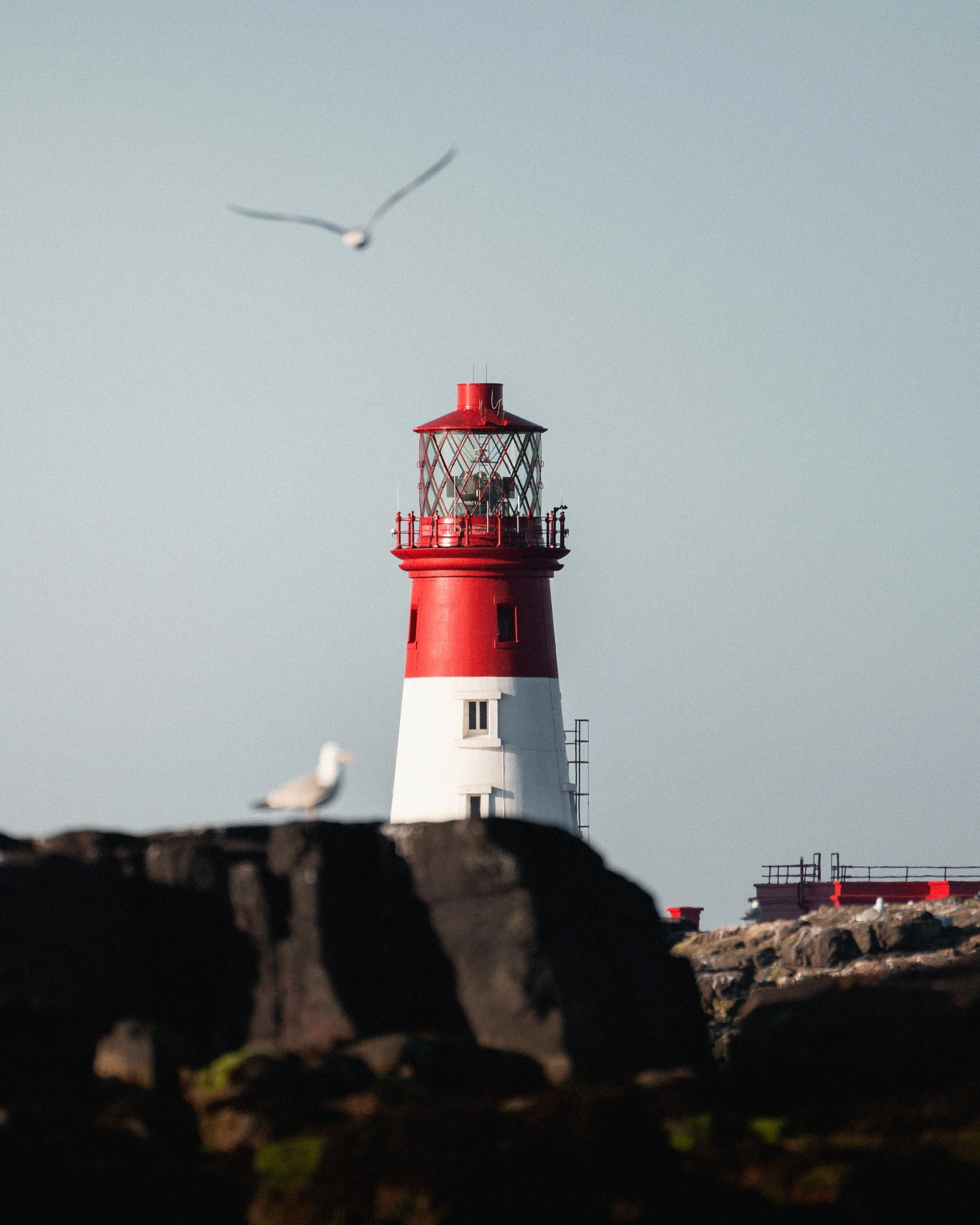 Discover: Longstone Lighthouse — This Is Northumberland