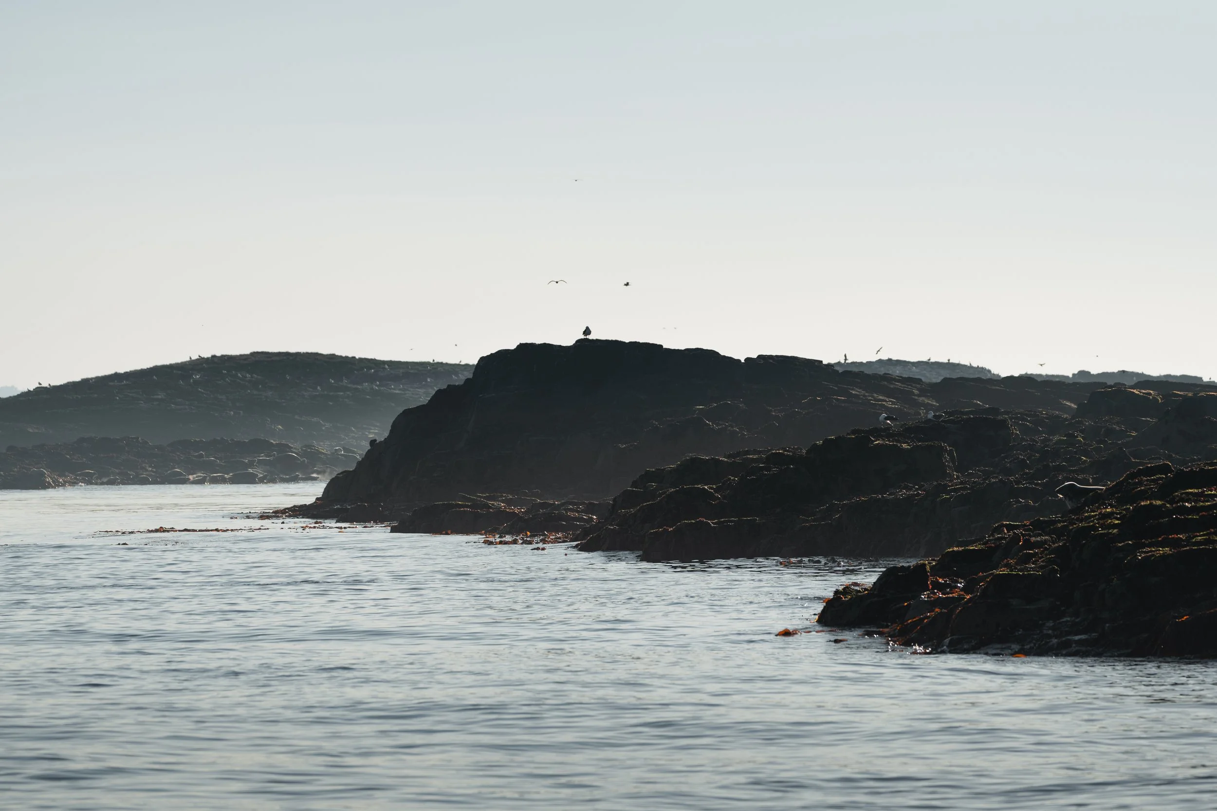 Discover: Longstone Lighthouse — This Is Northumberland