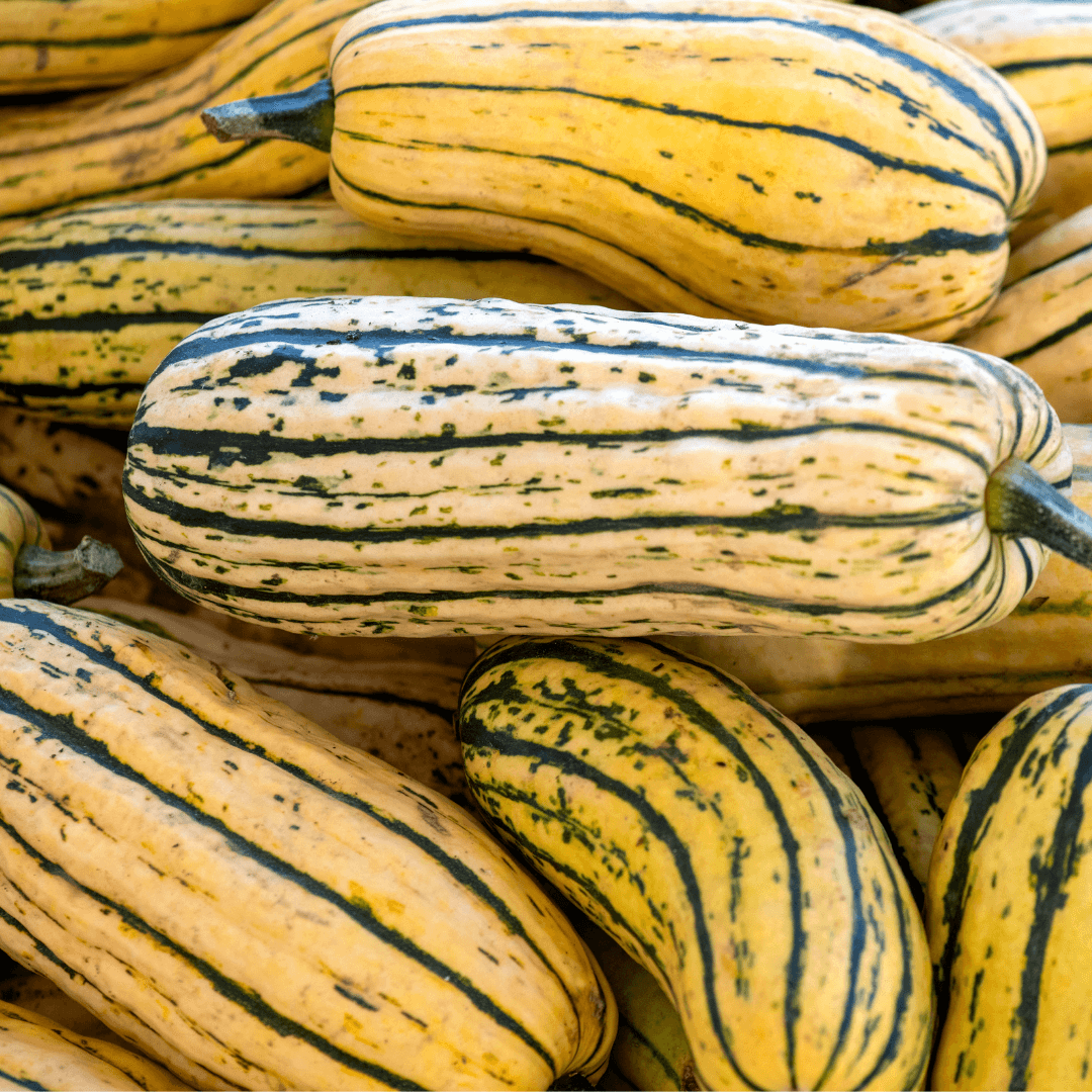 How to Overcome Squash Overload — Tiny Spoon Chef
