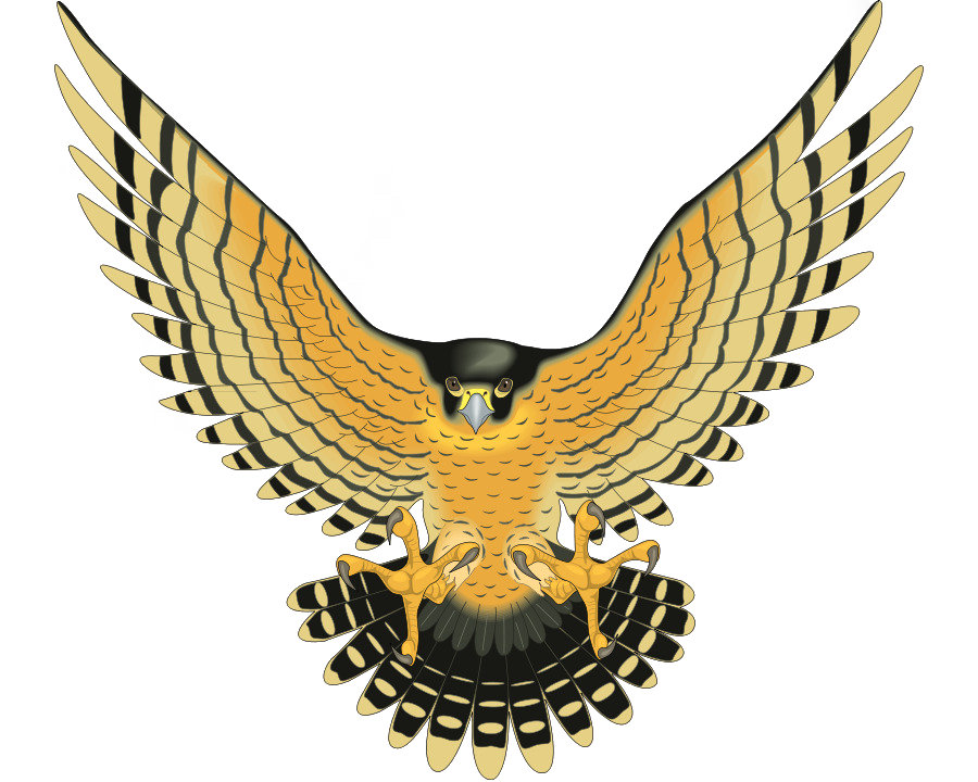 Friendly Falcon Clip Art