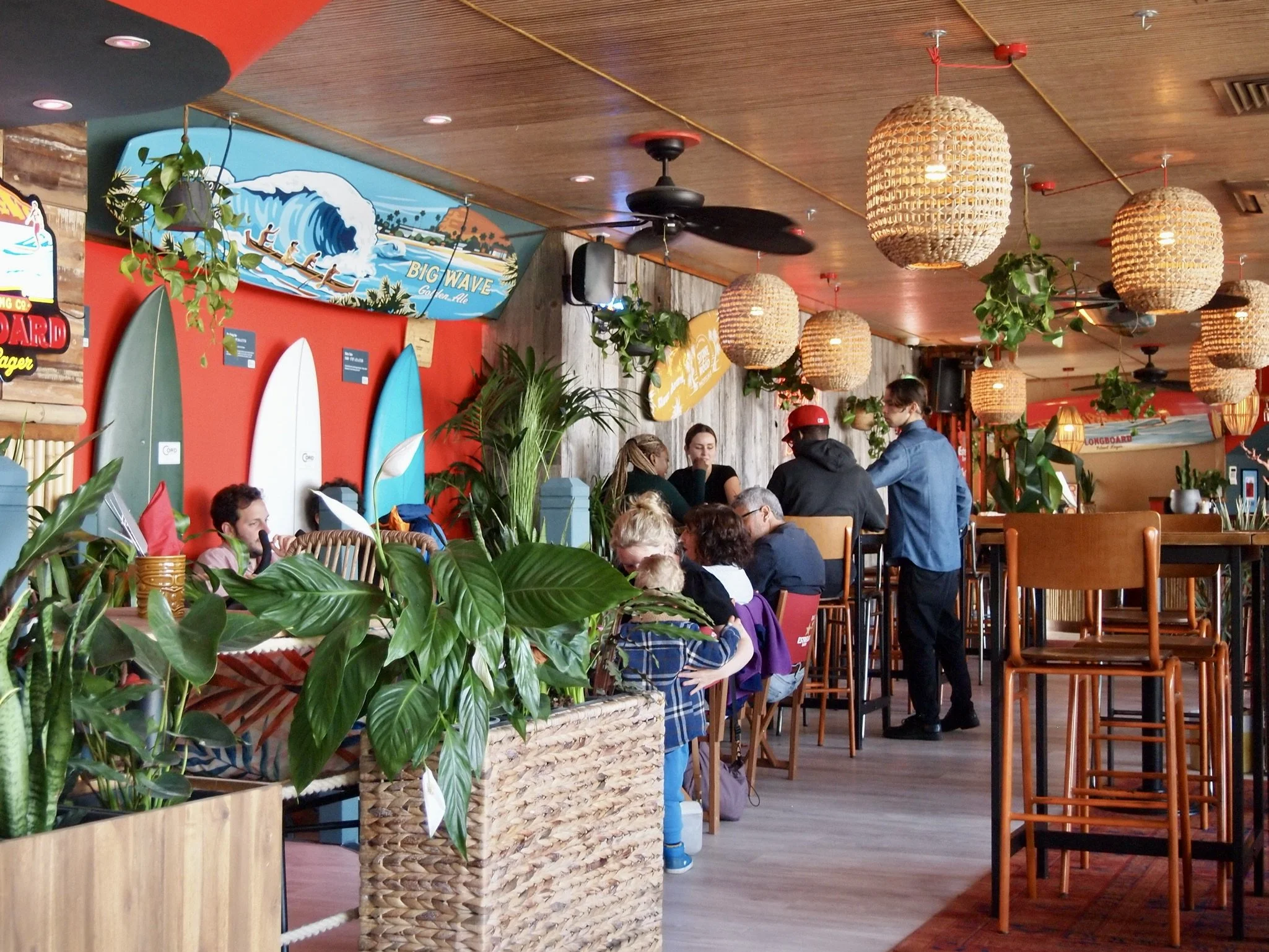 Kona Bar | Falmouth | Beers, Bowls & Beats