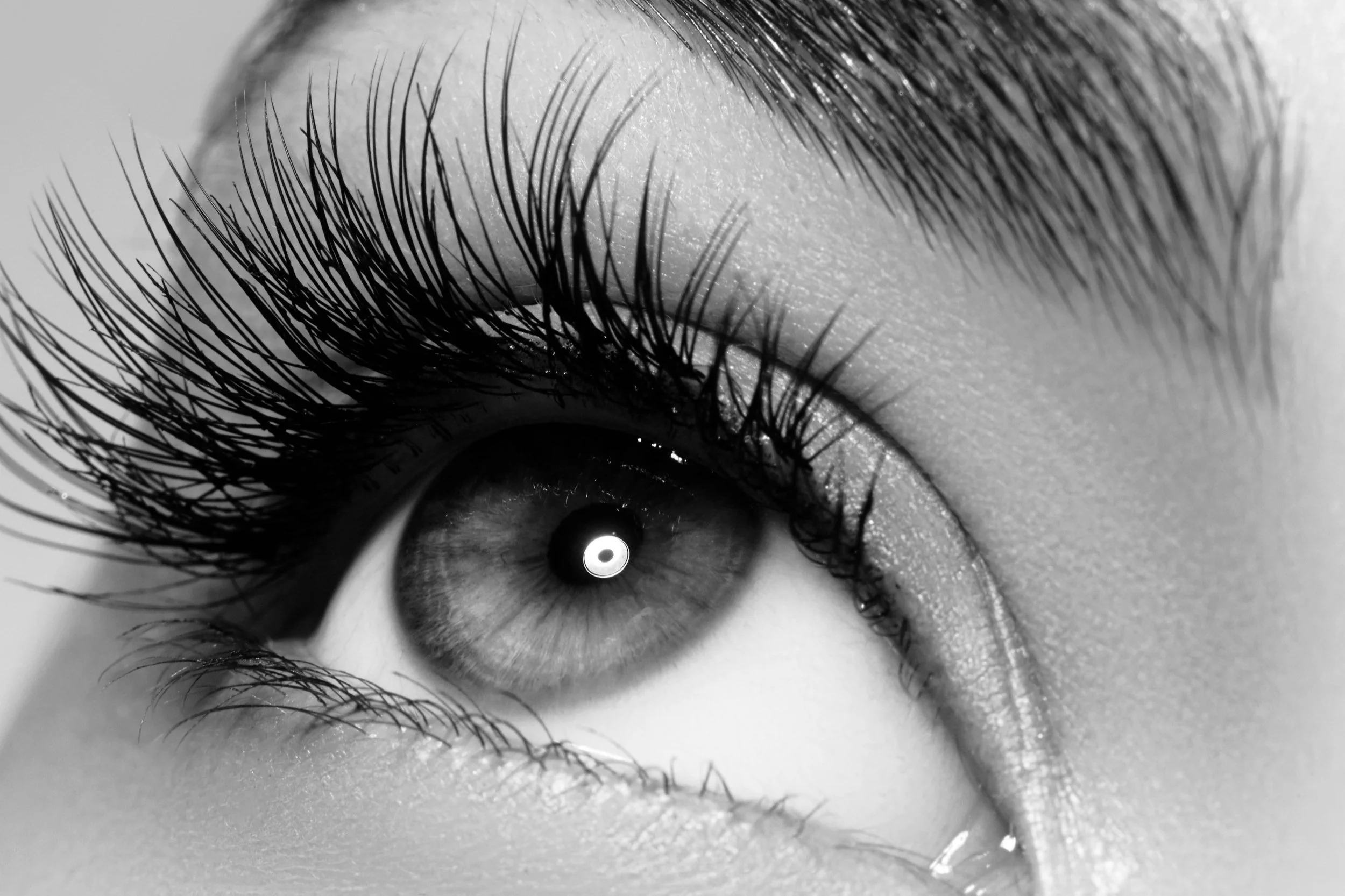 Elite Cosmetology School | Boost Your Beauty Career—Join Today