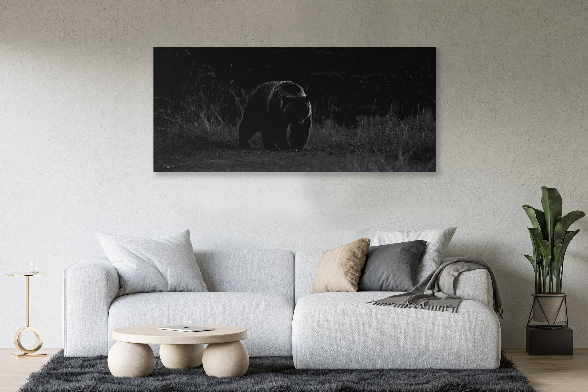 Land Of The Midnight Bear — Jeff Walker Gallery