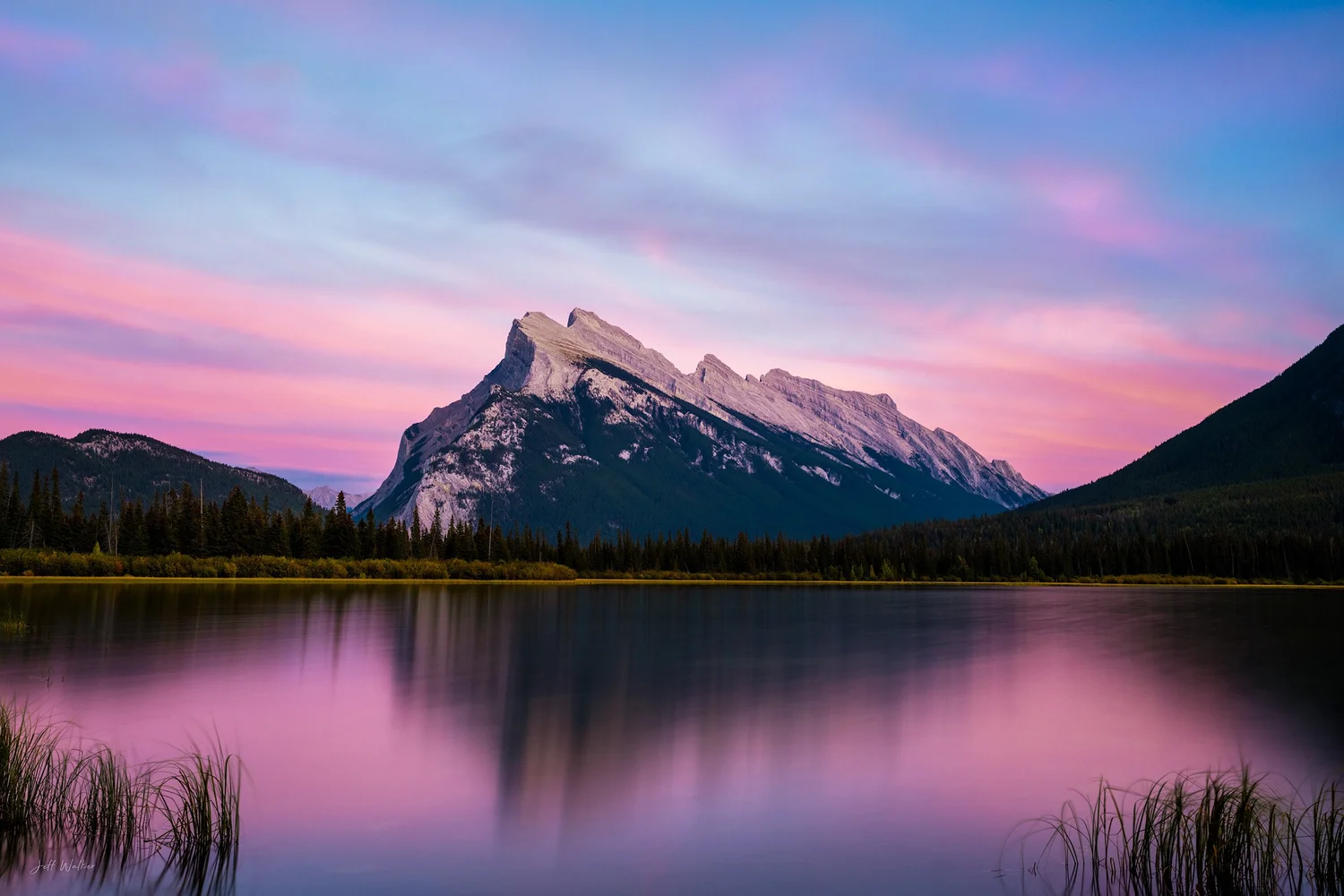 All Editions — Jeff Walker Gallery