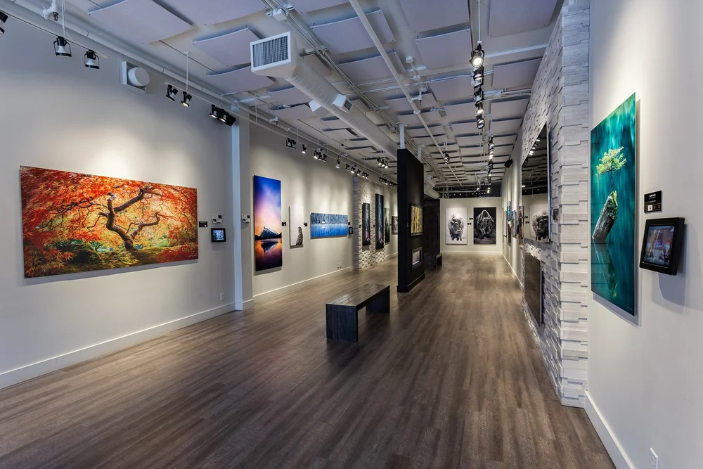 The Gallery — Jeff Walker Gallery
