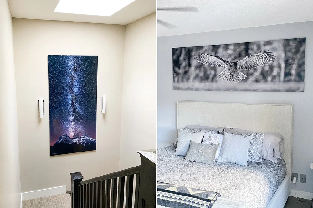 Maple Migration — Jeff Walker Gallery