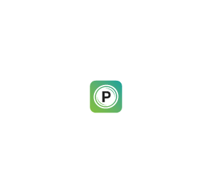 Parking Meters — Precise ParkLink | Parking Management Services