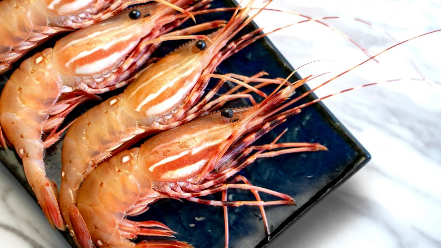 Species & Seasons — Commercial Fishermen of Santa Barbara