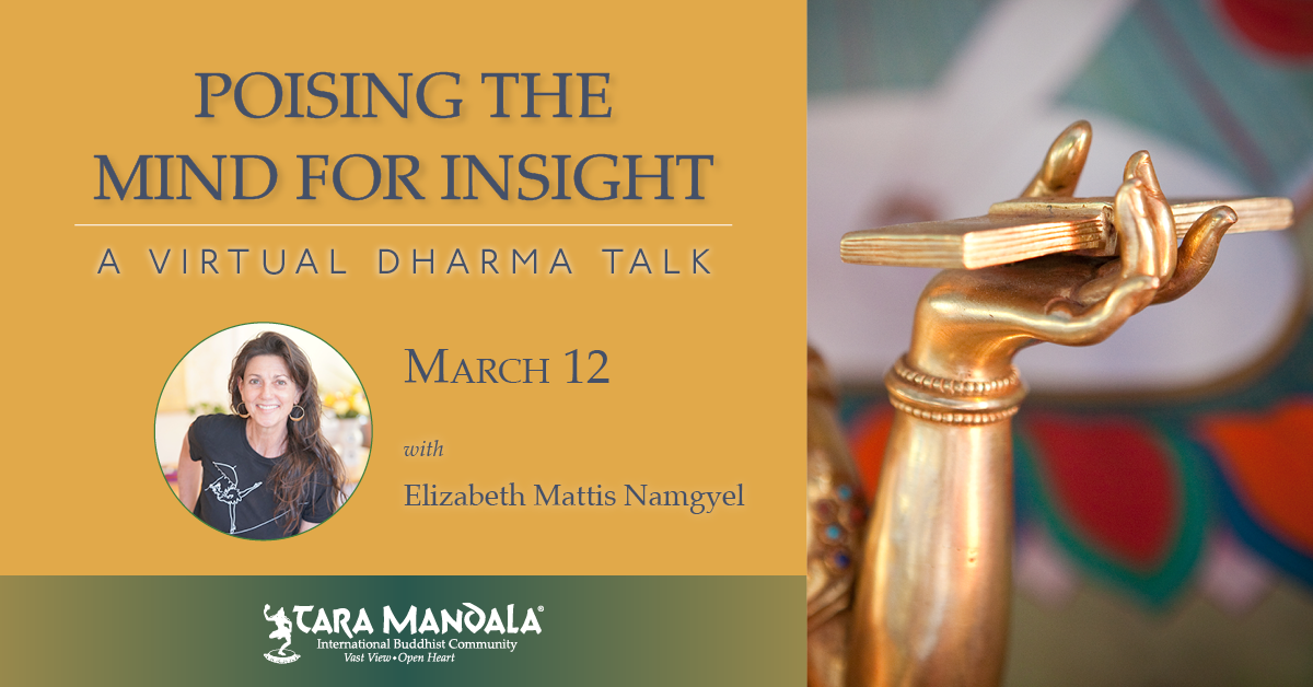 Upcoming Events — The Middle Way Initiative