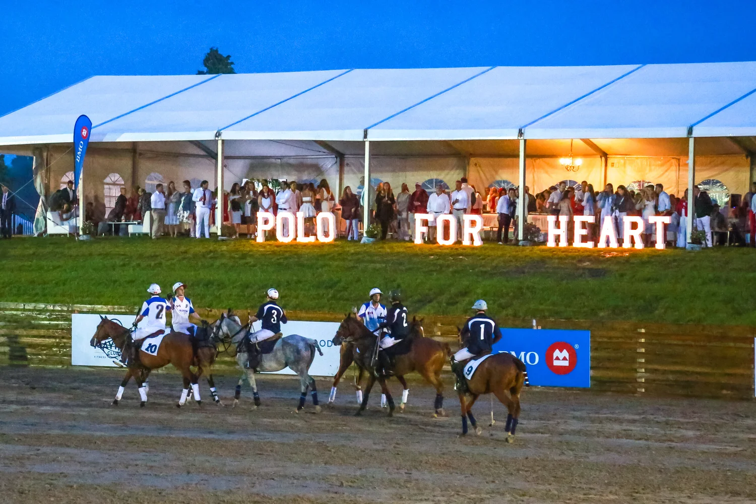 Polo For Heart