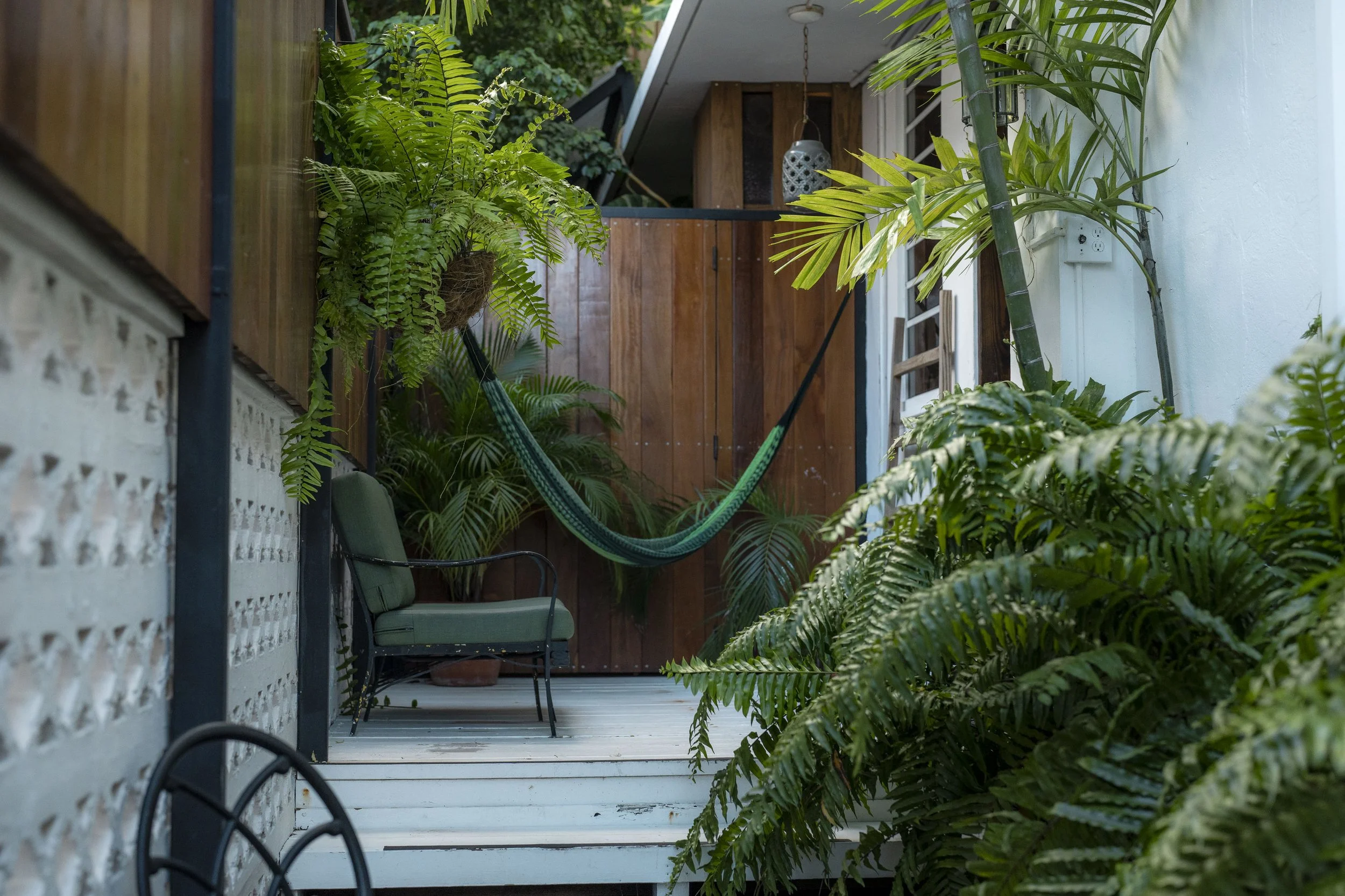 The Botanica Suite — Casa Botánica