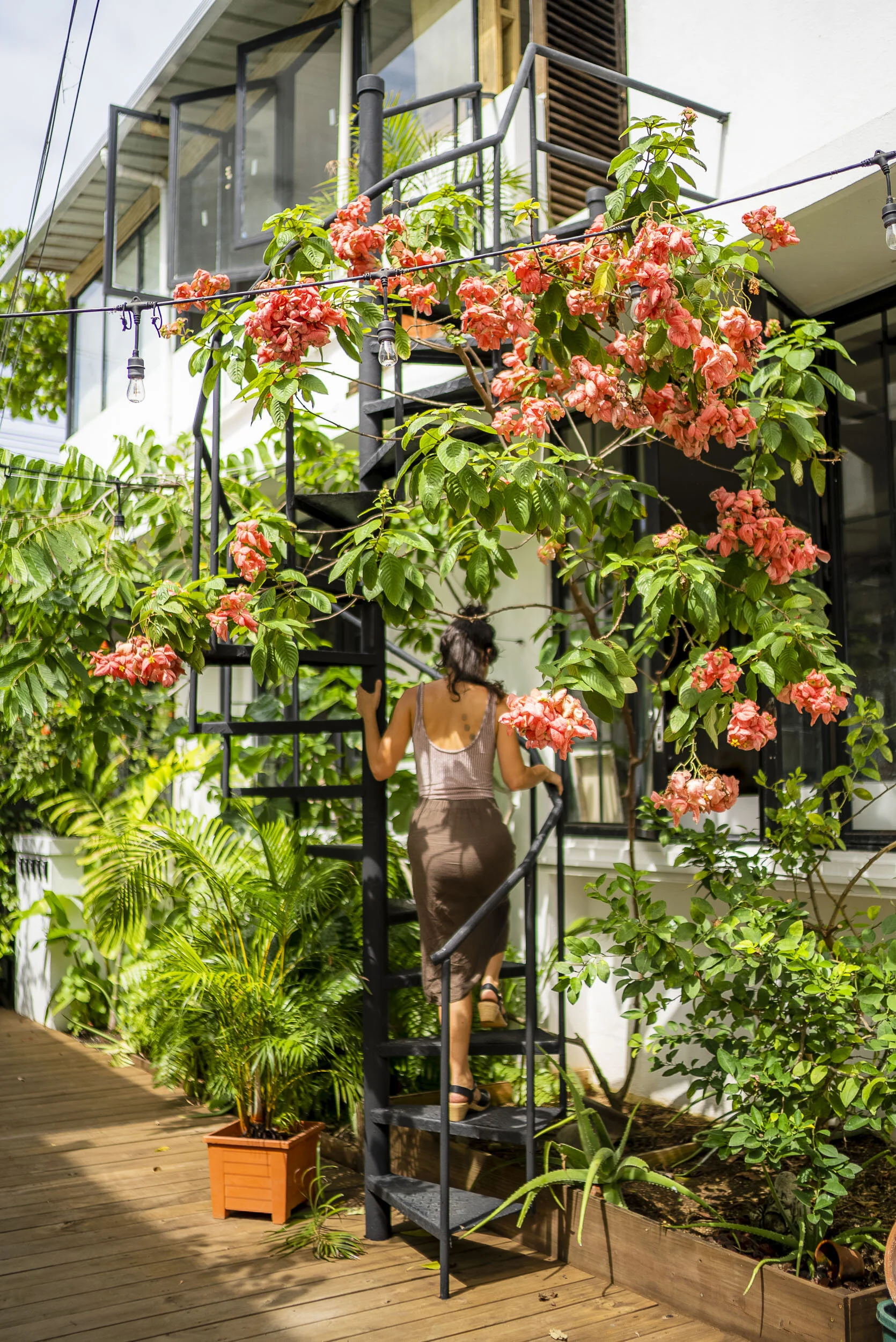 La Botanica Hotel - Vegan Wellness Stay at the Heart of San Juan