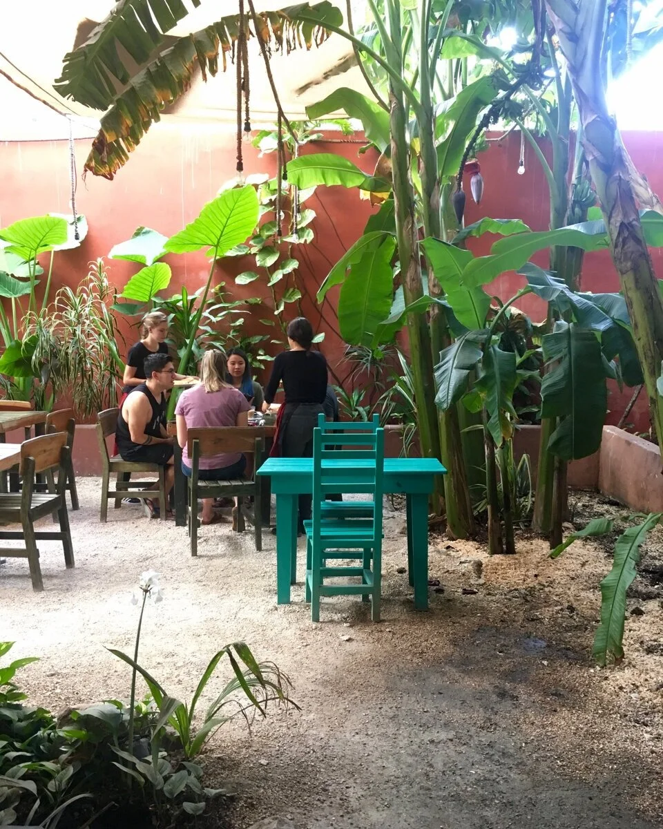 Eat and Drink in Tulum — Small Bag, Big Appetite