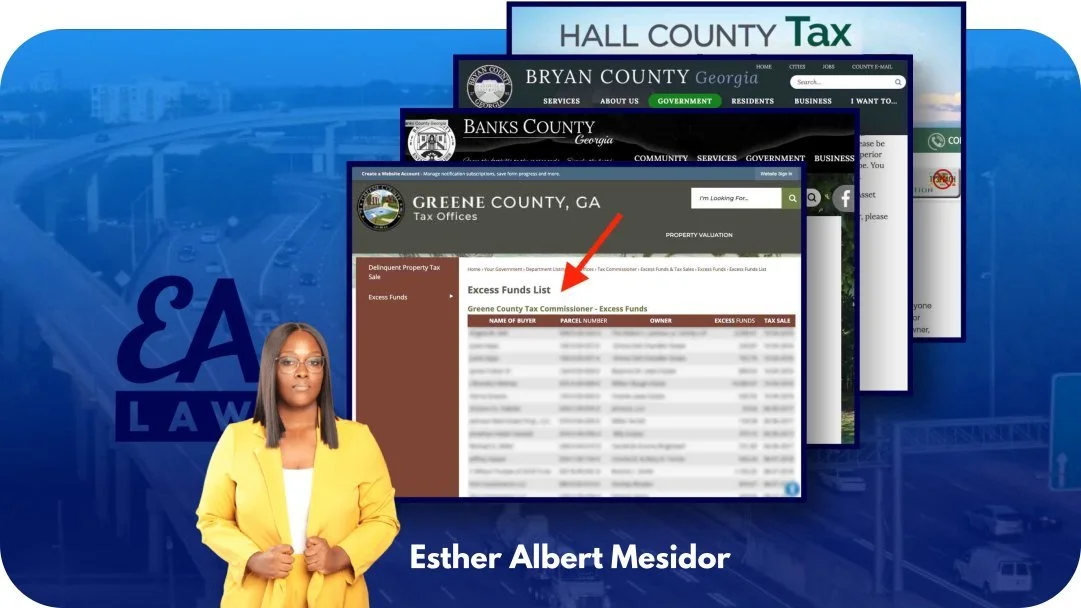 Georgia Excess Funds List (41 Counties)