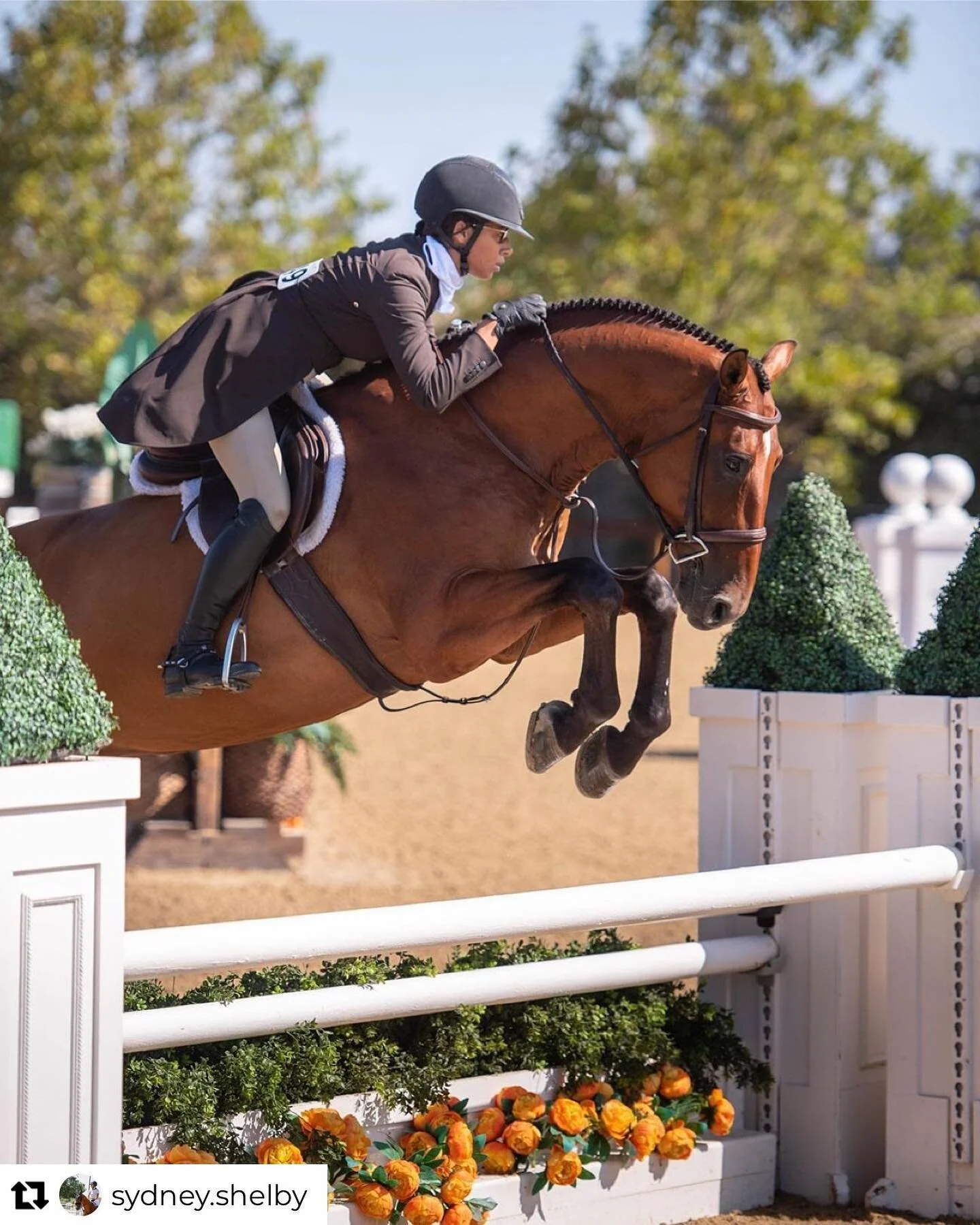 Patrick Seaton Stables