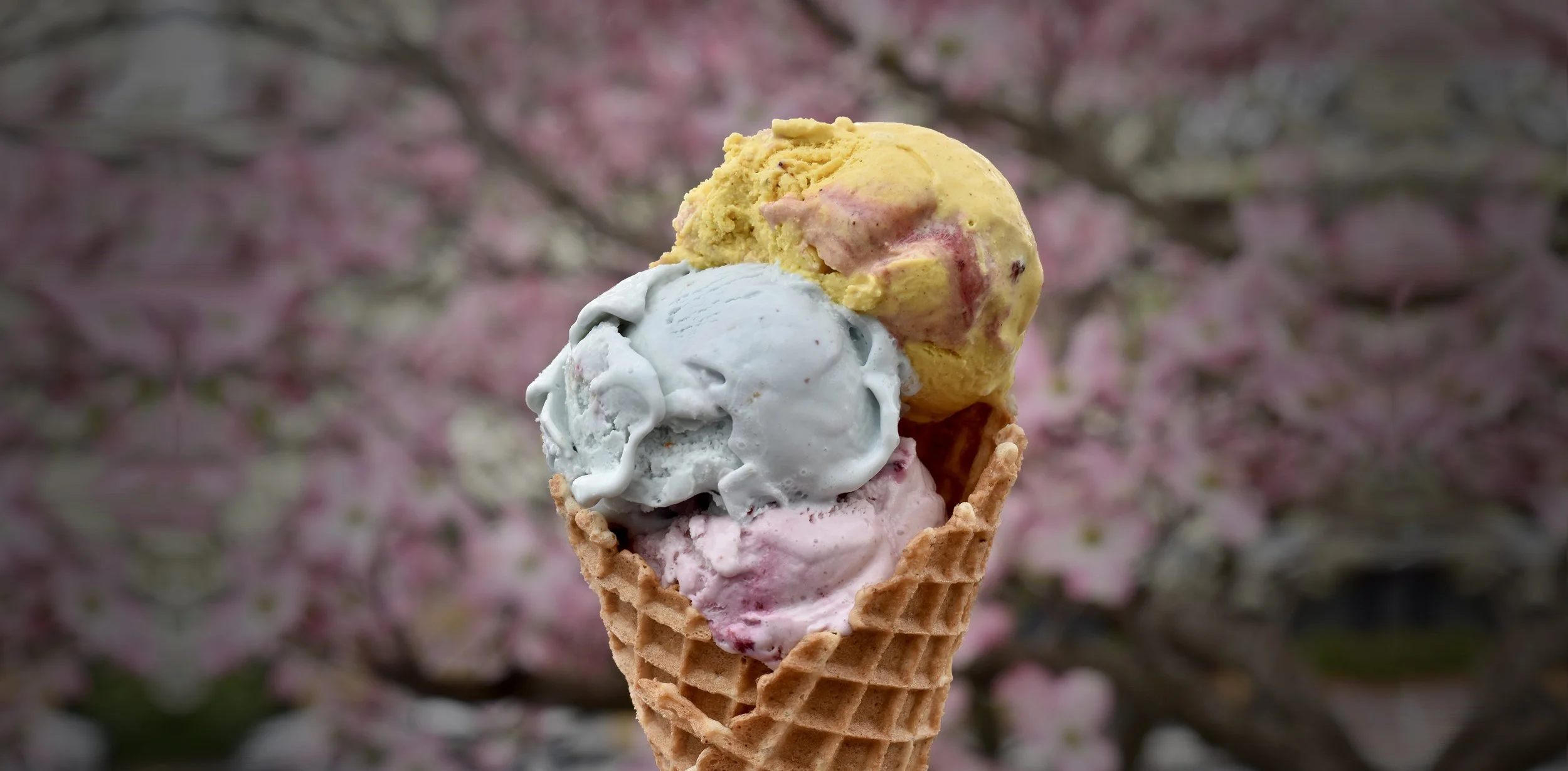 The Hop Handcrafted Ice Cream