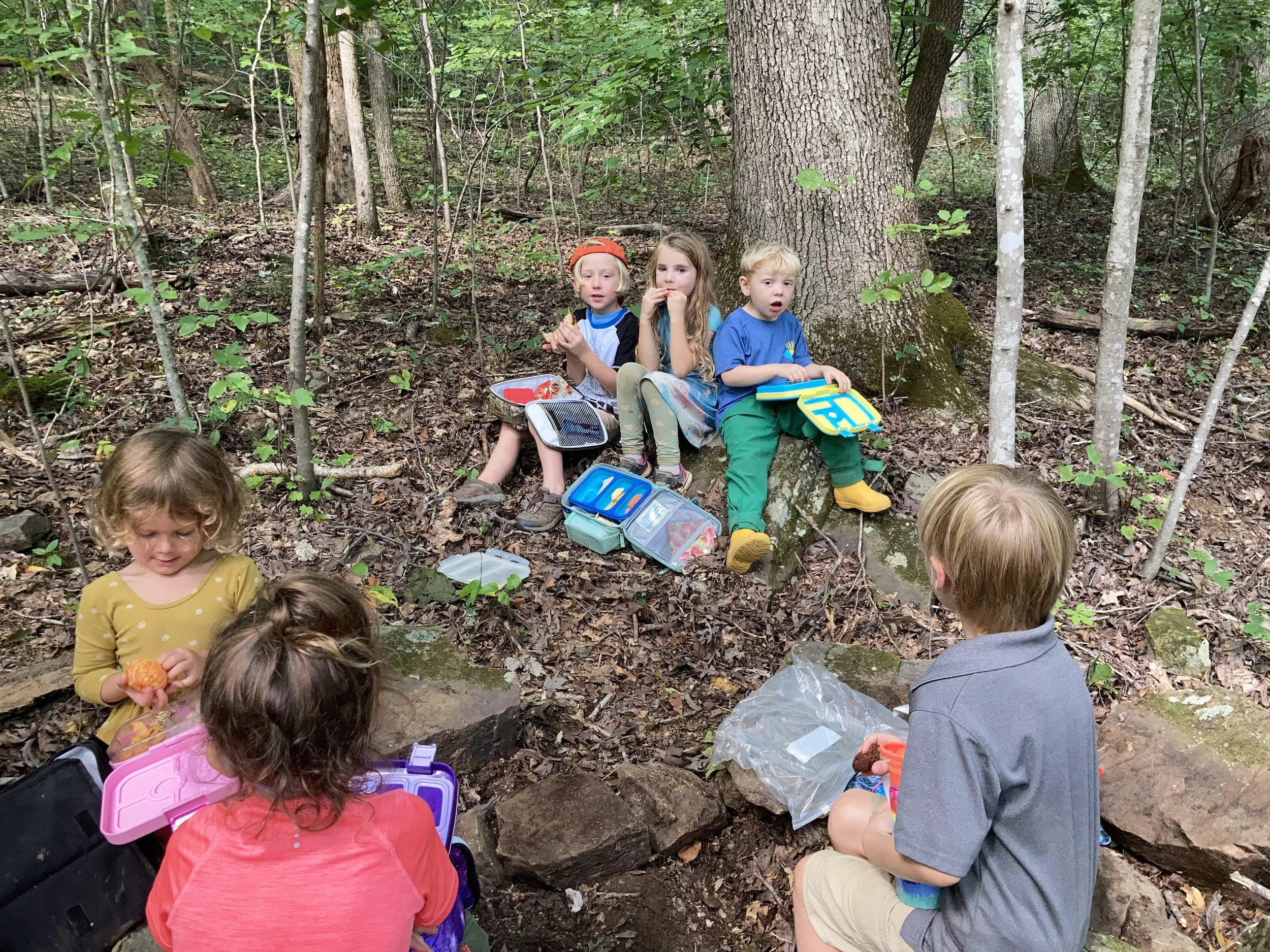 Forest grade school in Chattanooga — River Gorge Forest School