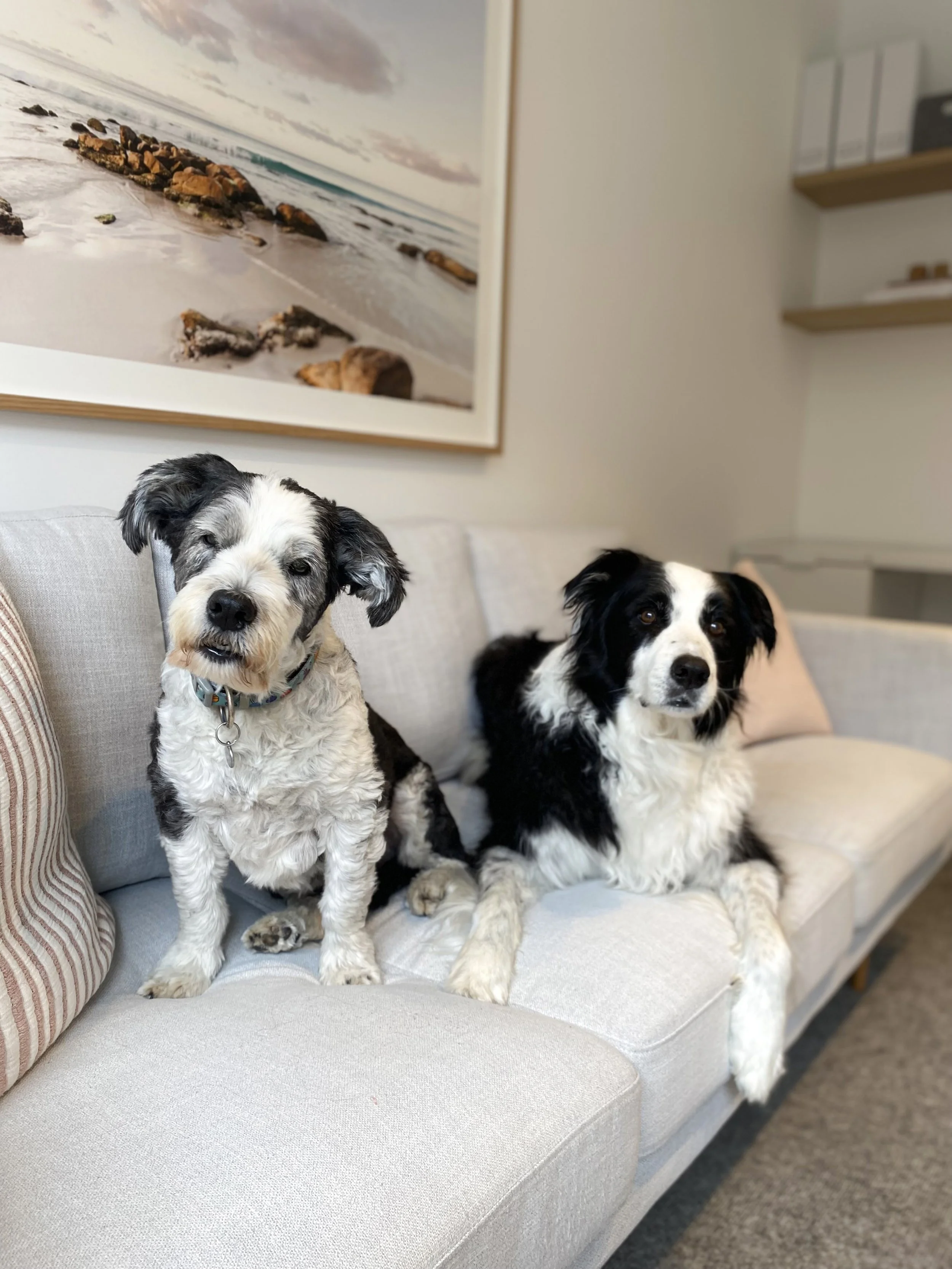 BURLEY & ANDREW — Minded Psychology